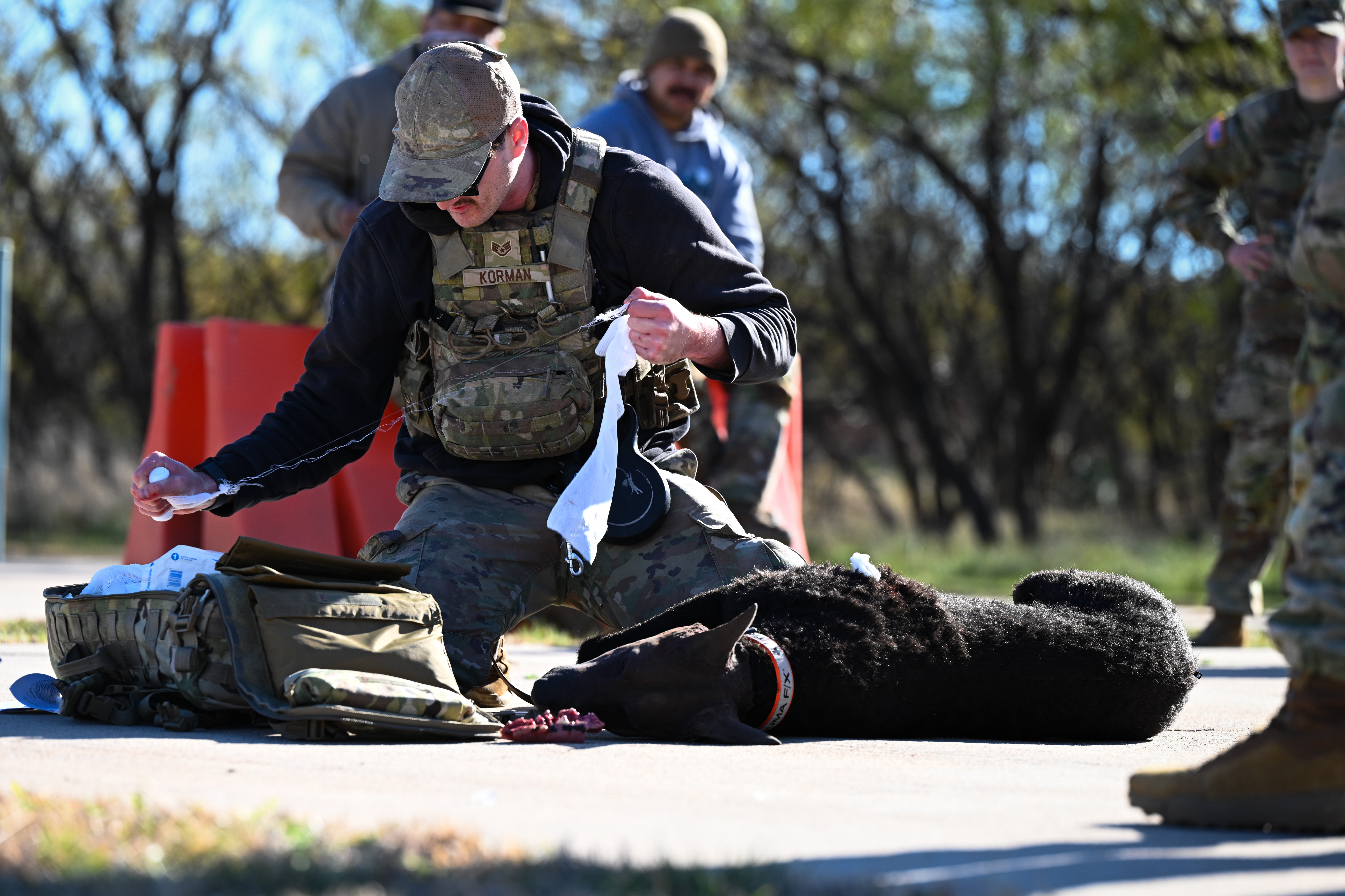 Dyess AFB hosts joint K-9 medical training > Dyess Air Force Base ...