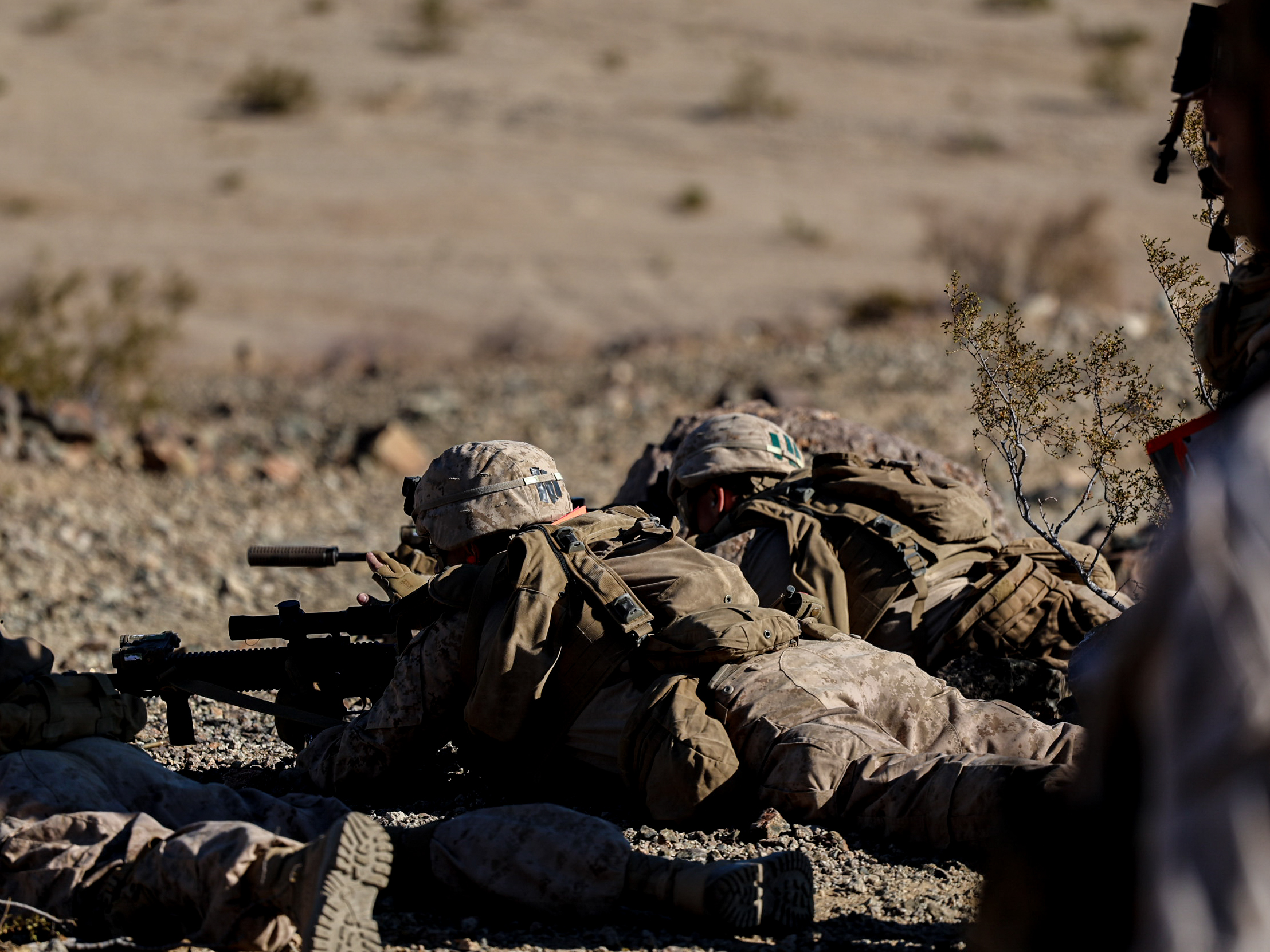 U.S. Marines with 2nd Battalion, 23rd Marine Regiment, conduct platoon ...