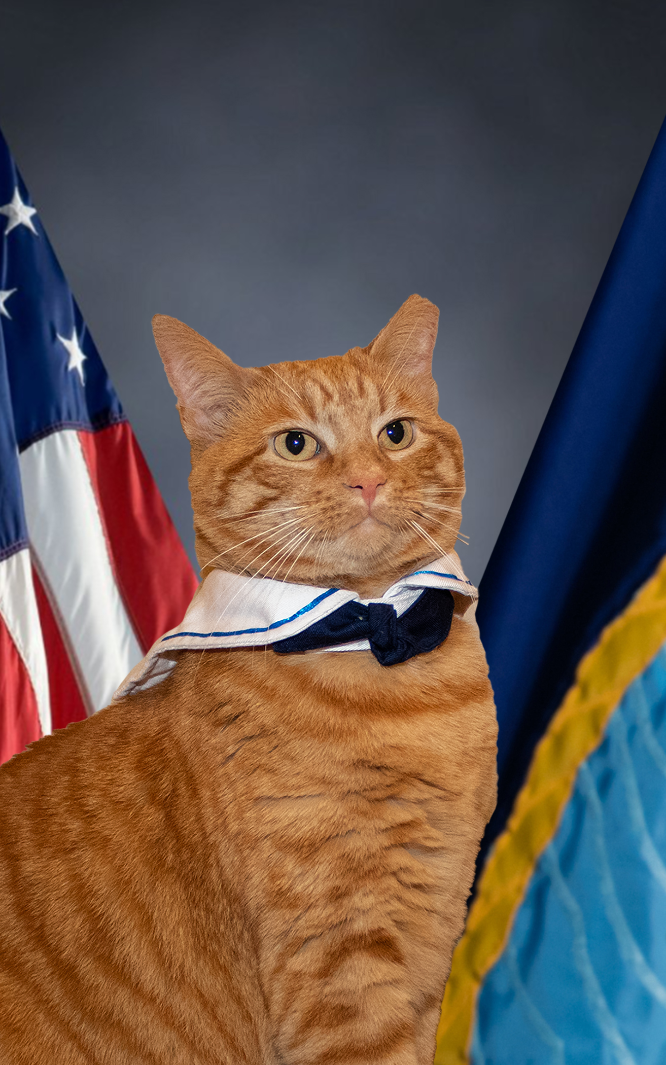 Service Members Get New Benefit: Pet Travel Allowance > U.S. Department ...