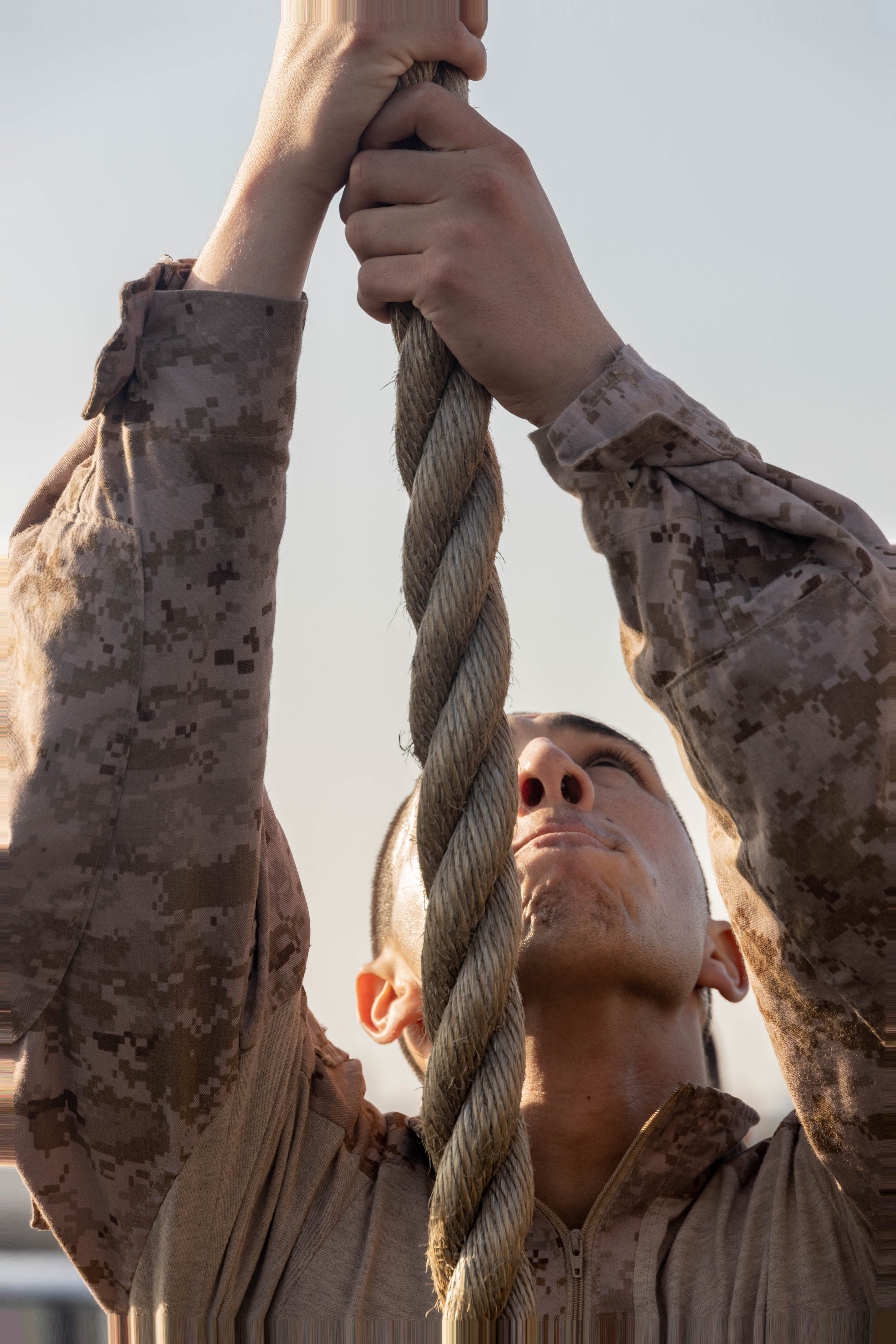 Delta Company Getting Stronger