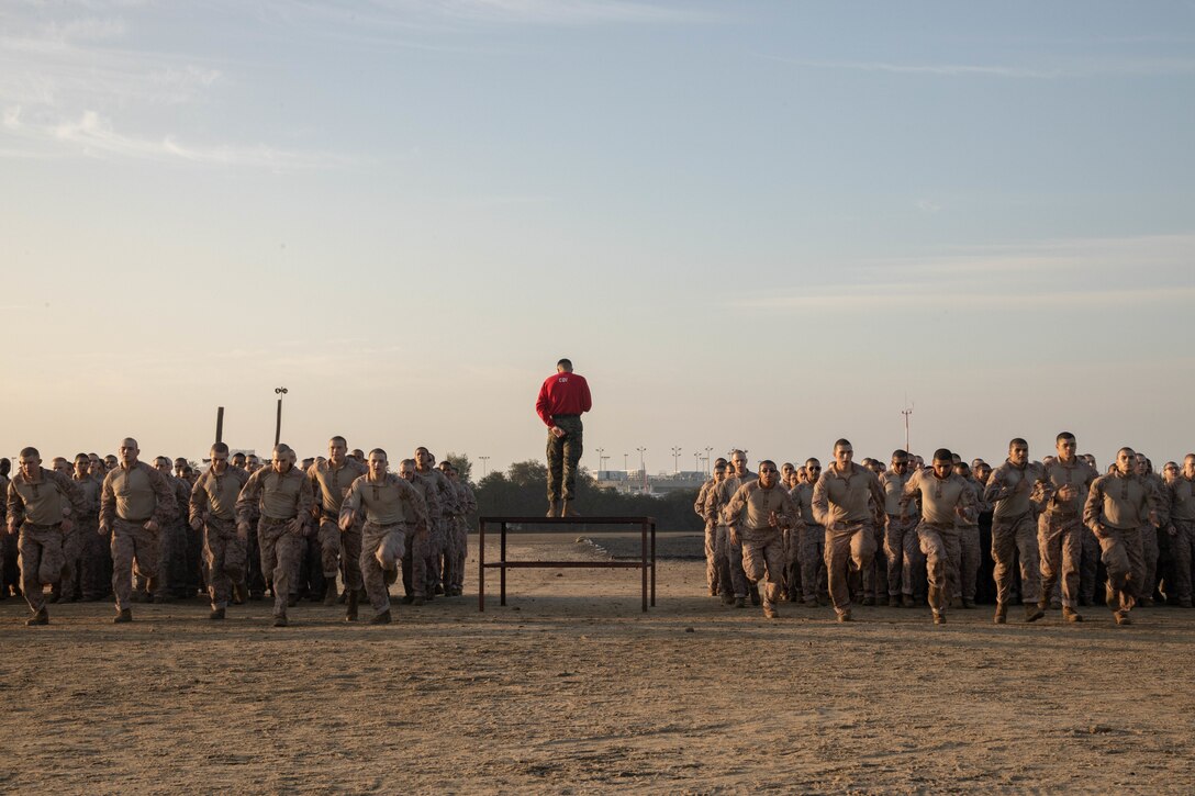 Delta Company Getting Stronger