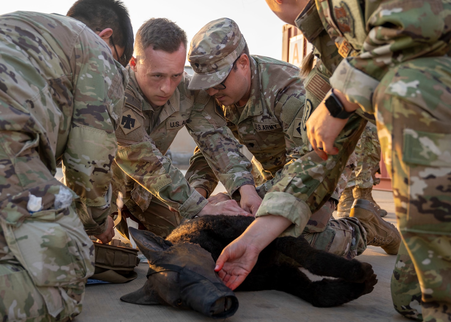 CLDJ Conducts K-9 Tactical Combat Casualty Care Training > Commander ...