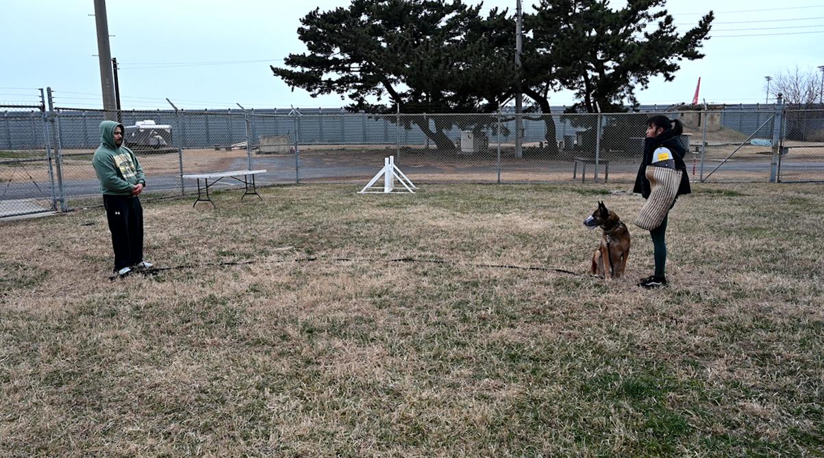 Off the leash: 8th SFS MWDs begin disposition > Kunsan Air Base > Display