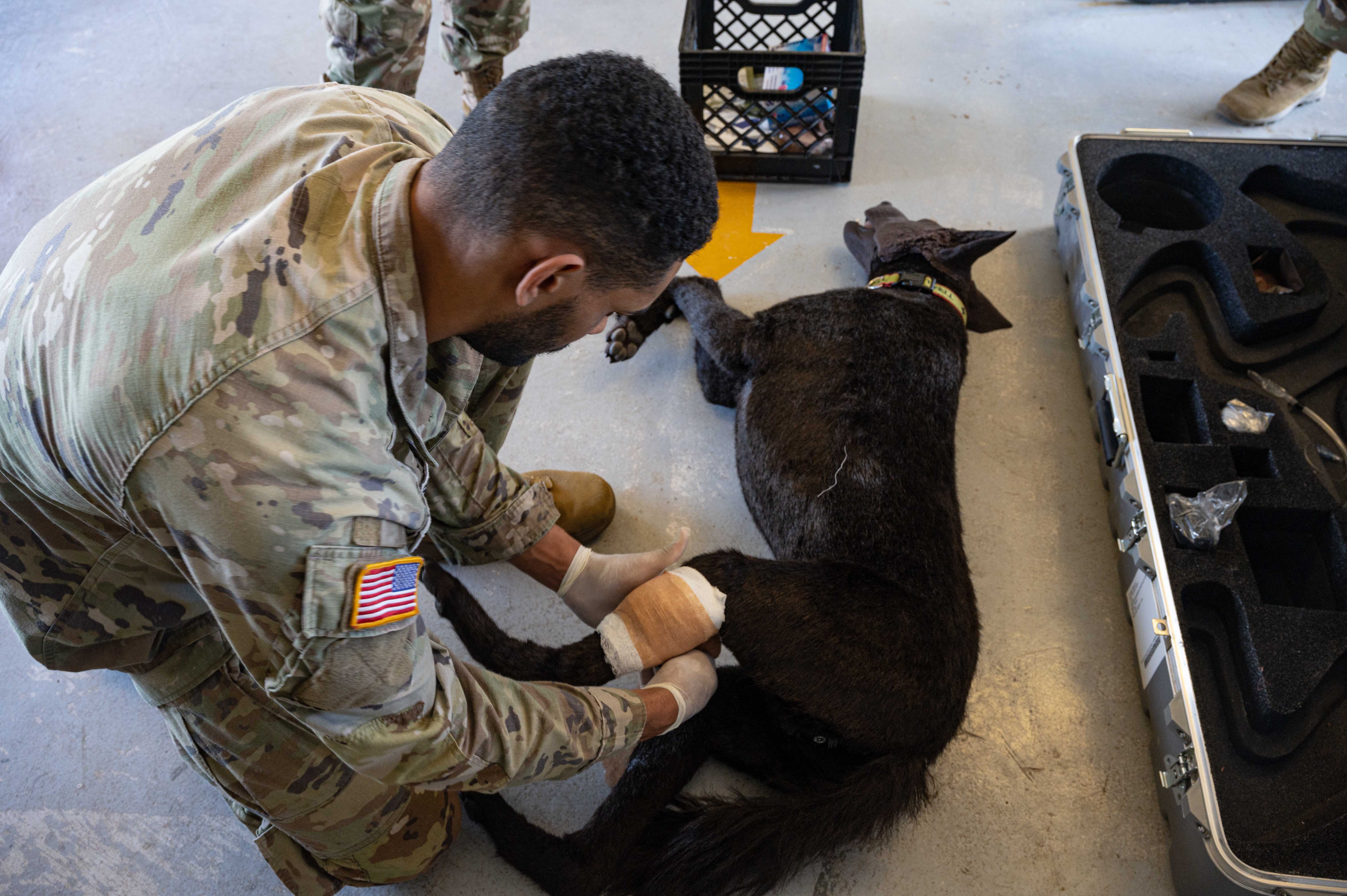 JTF-Bravo vets train MWD handlers on trauma care > 505th Command and ...