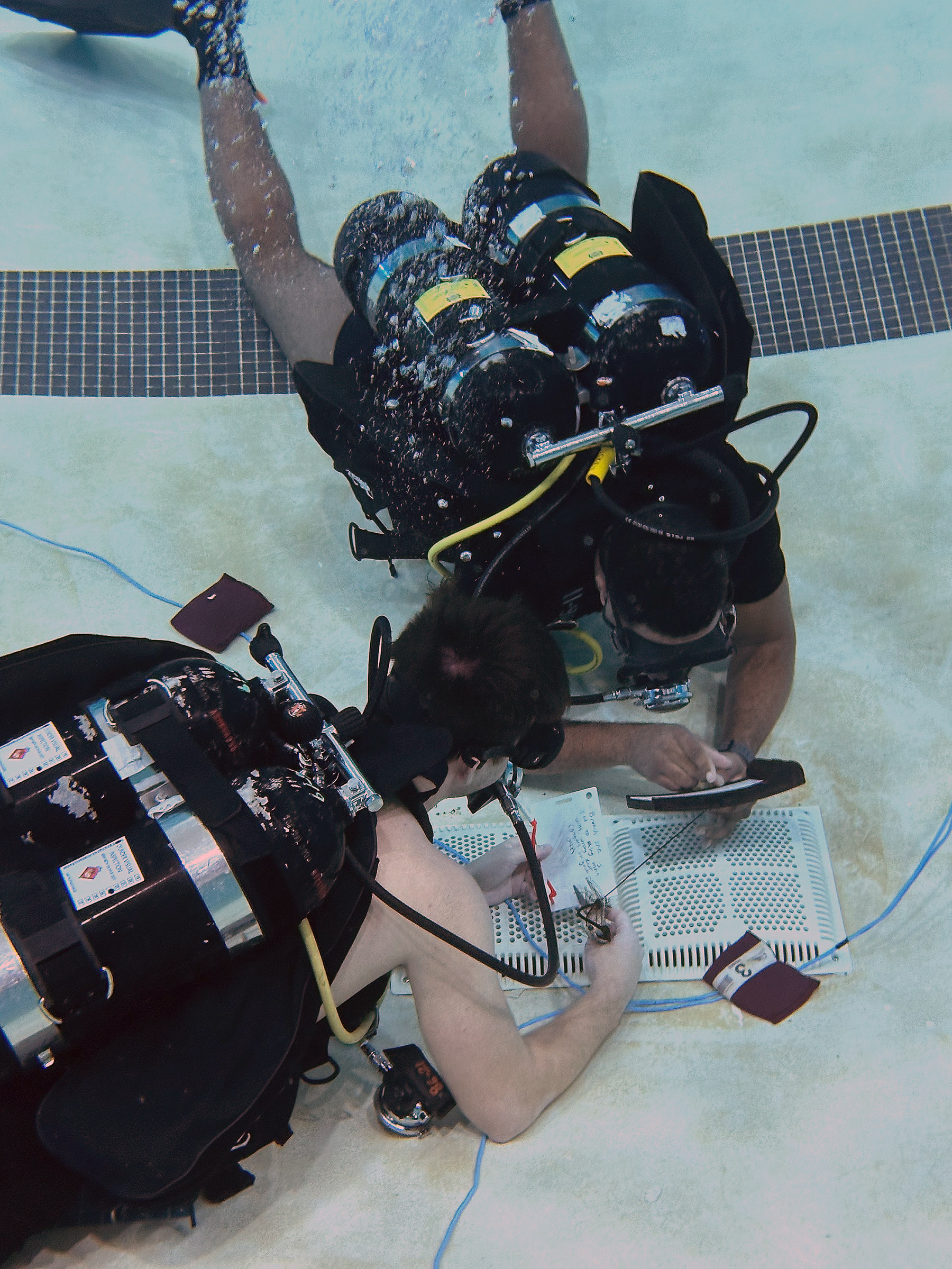 U.S. Army 'Best Dive Team' competition > Joint Base Langley-Eustis > Article Display