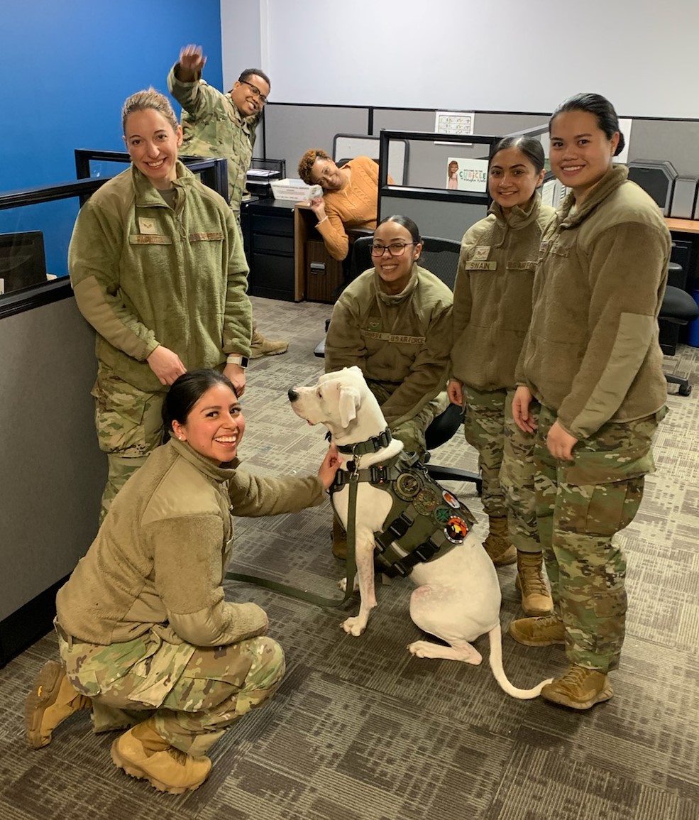 Tilly, the therapy dog, makes her rounds at Air National Guard unit