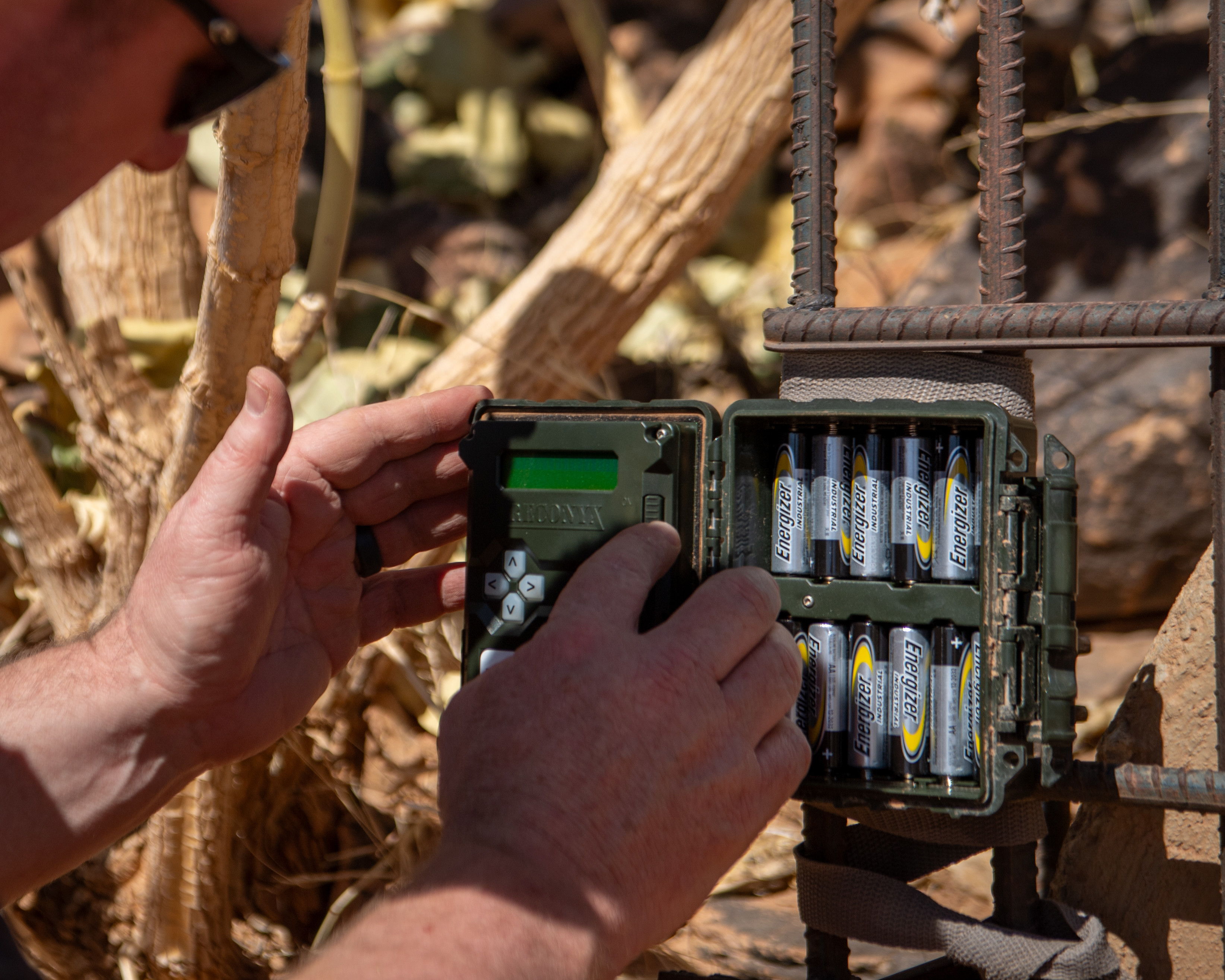 Flight safety BASHes airfield hazards at AB 201 > Air Force Safety ...