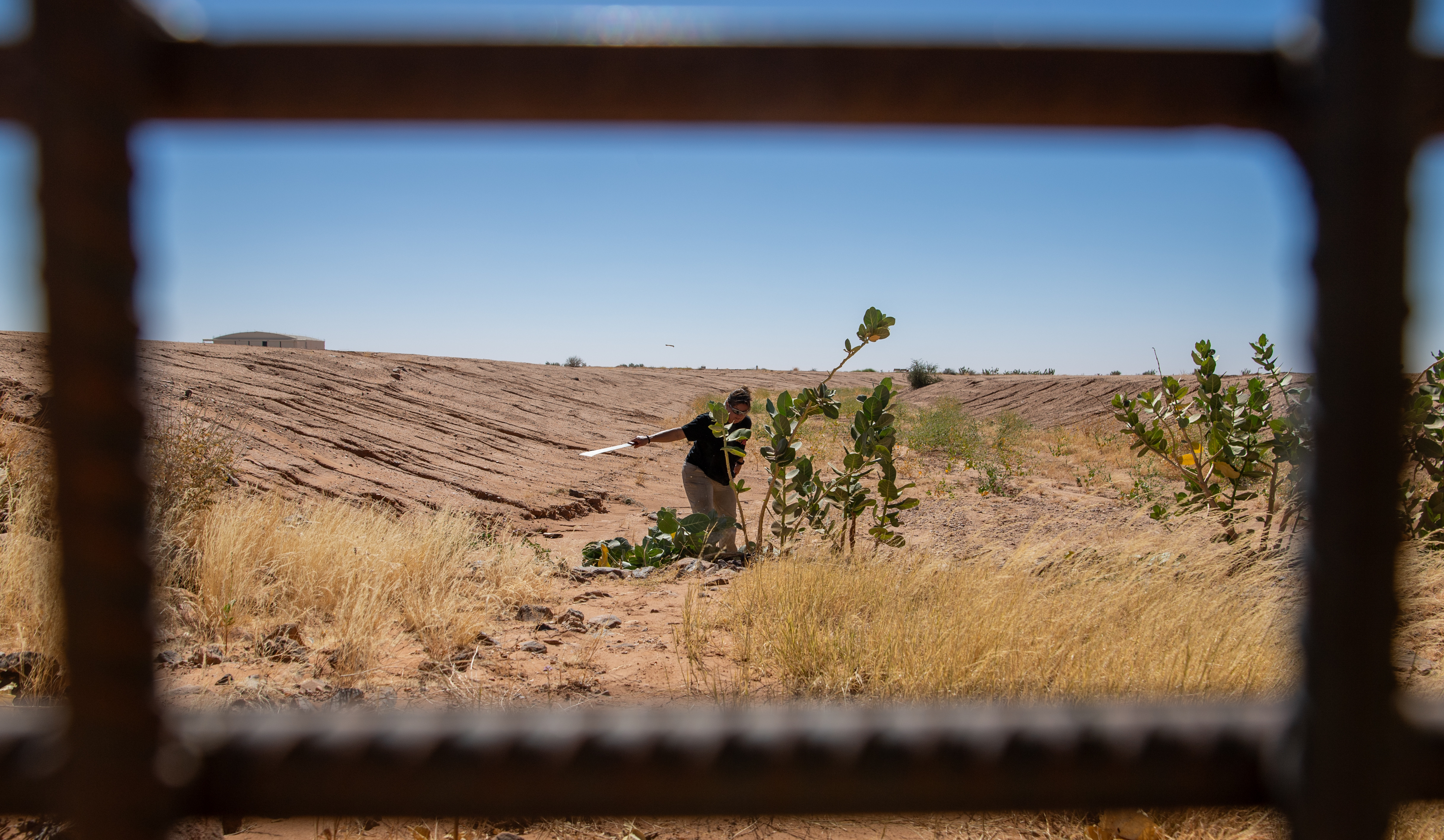 Flight safety BASHes airfield hazards at airfield in west Africa ...