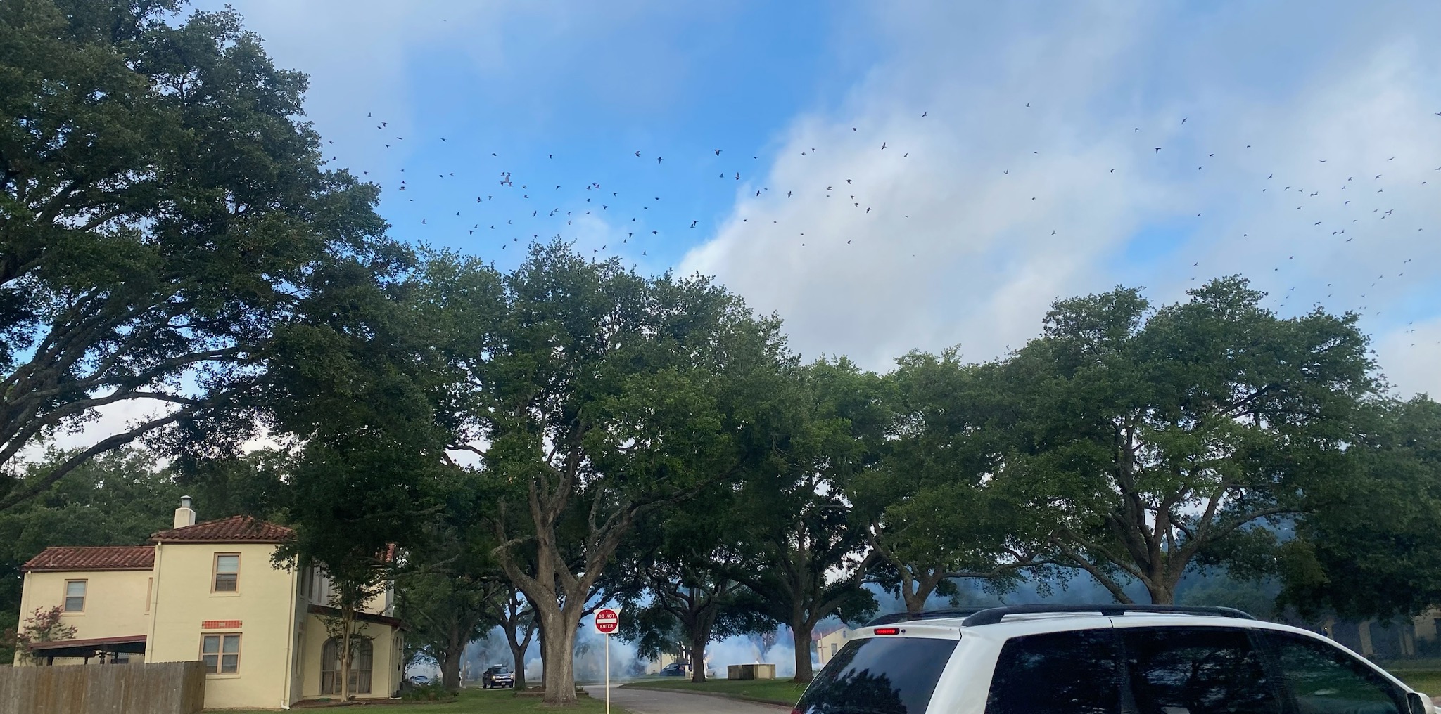 Fogging tree canopies in base housing helps reduce bird aircraft strike ...