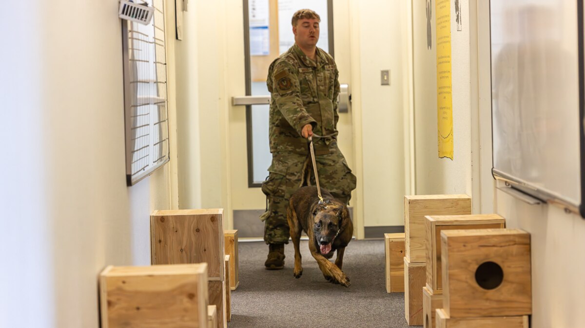 Mountain Home AFB Named Air Force's 2024 CINC IEA Winner > Mountain ...