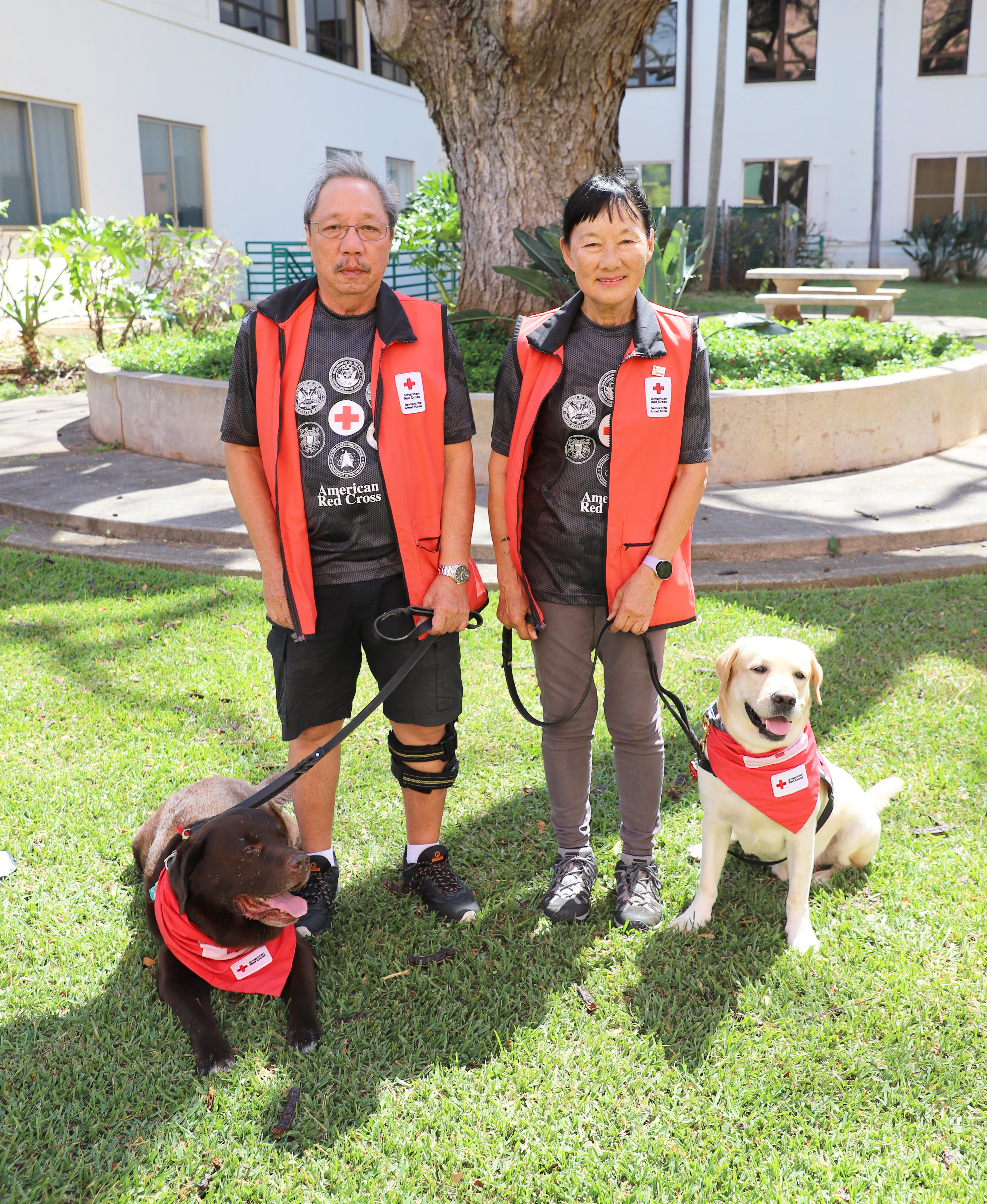 Dog Days of Summer: Meet Oscar, Bear, Lorna and Al Hu > Desmond Doss ...