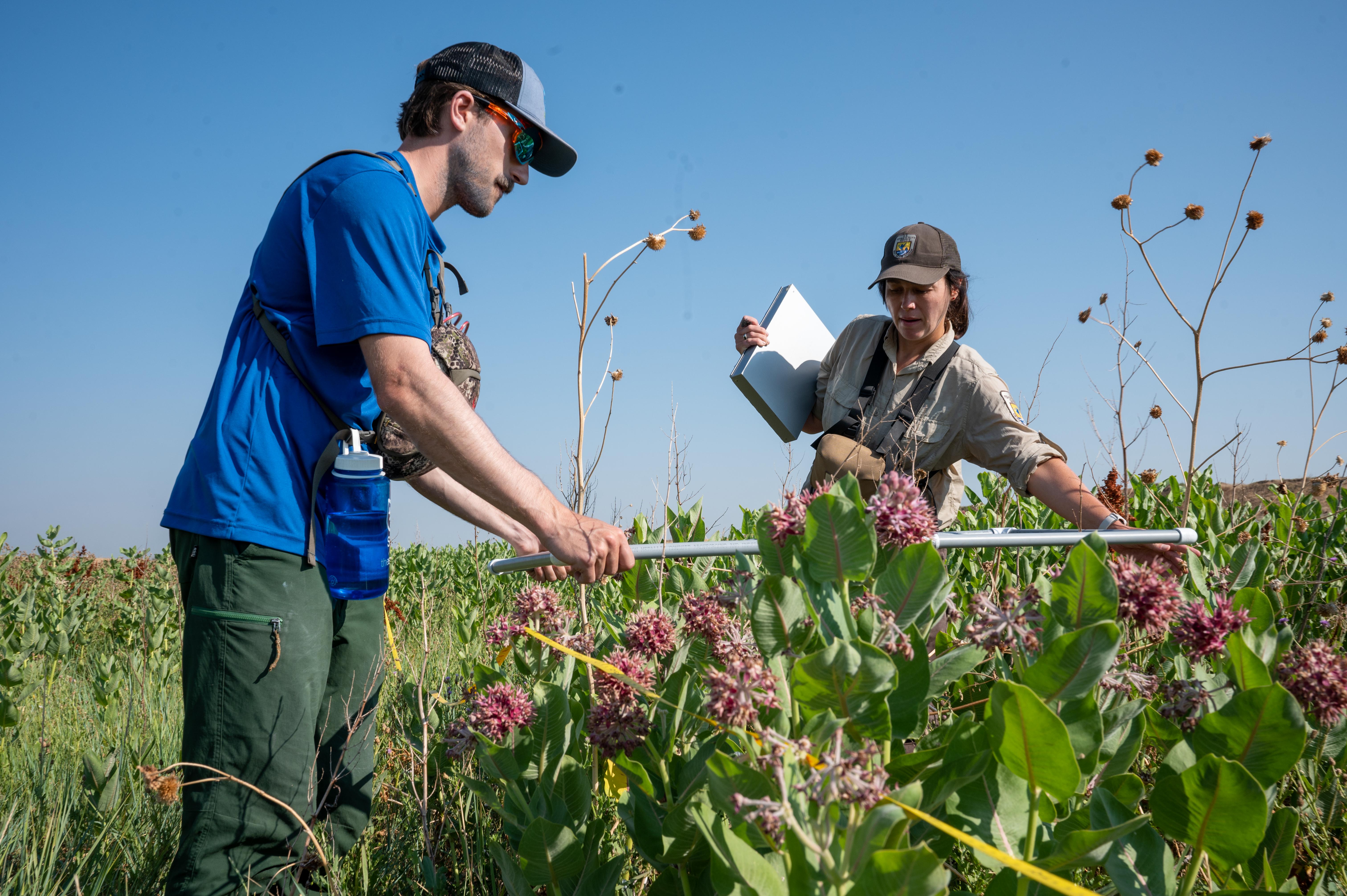 Monarch Migration: Winged Wonders on the Move > Buckley Space Force ...