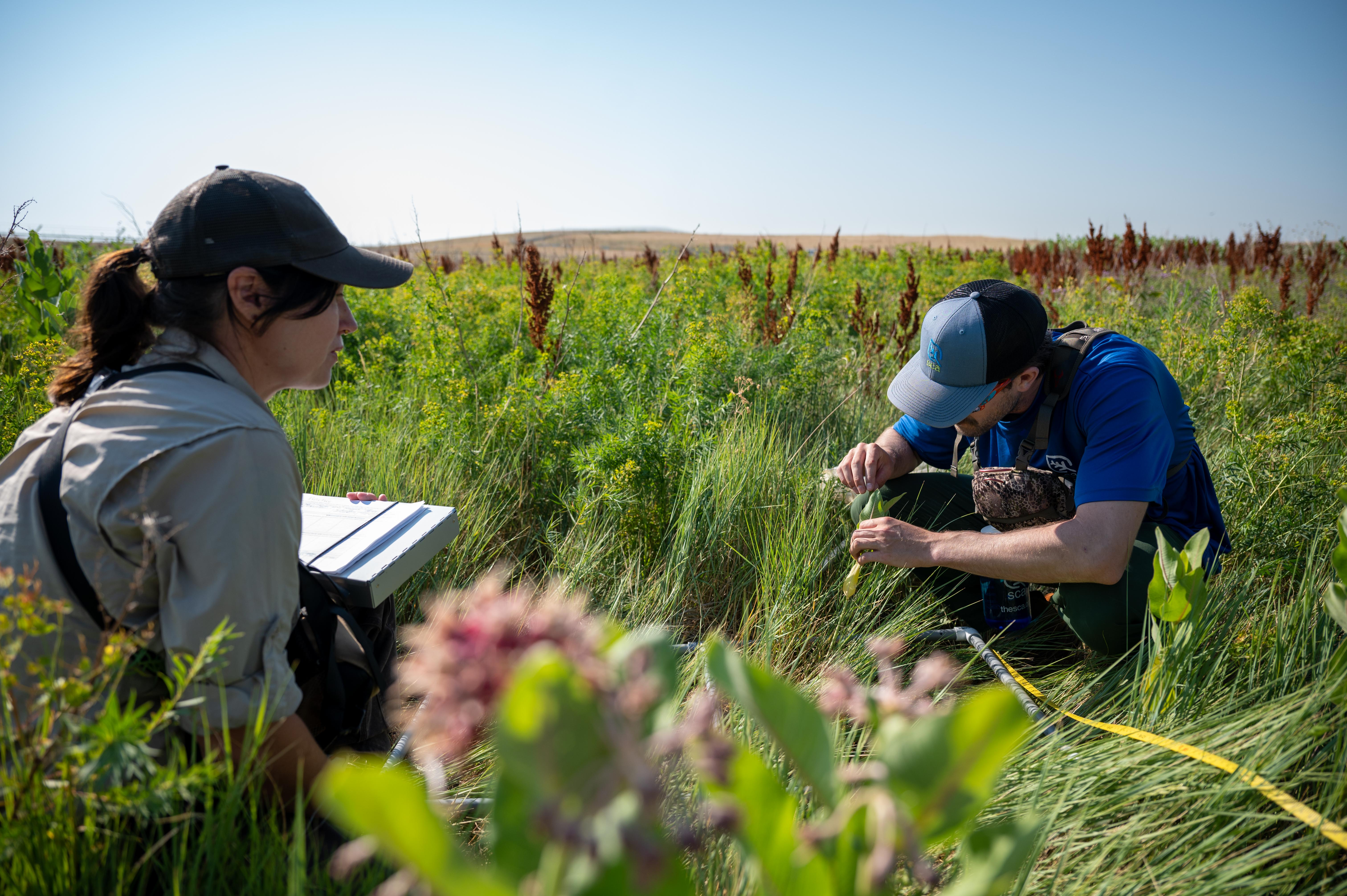 Monarch Migration: Winged Wonders on the Move > 505th Command and ...