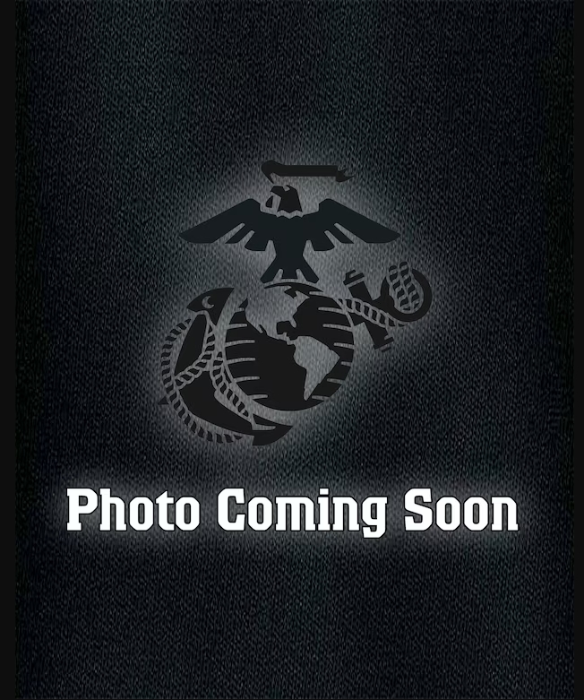 Lieutenant Colonel Matthew E. Neely > Marine Corps Defense Services ...