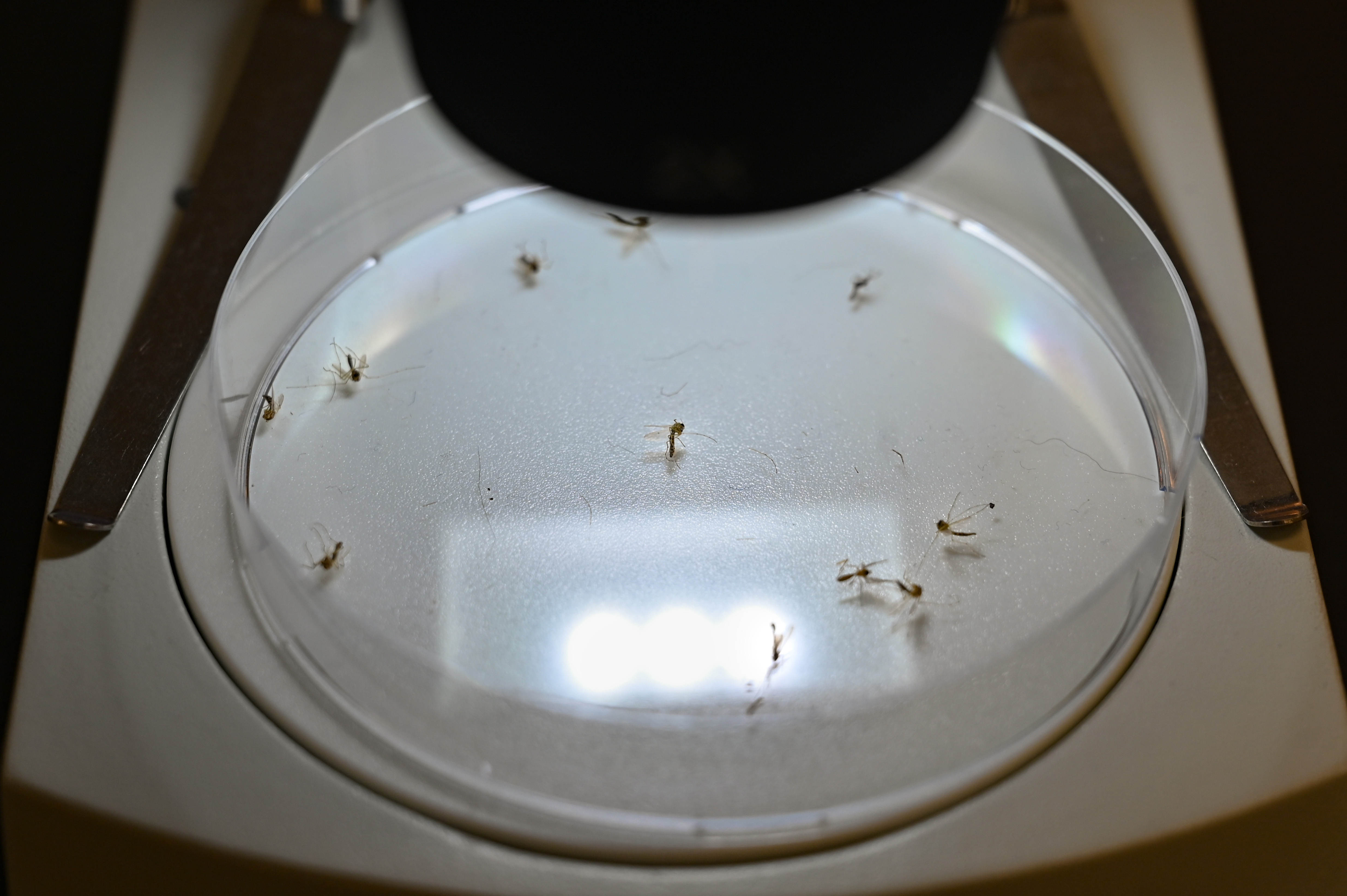 20th Operational Medical Readiness Squadron Public Health’s Entomology ...