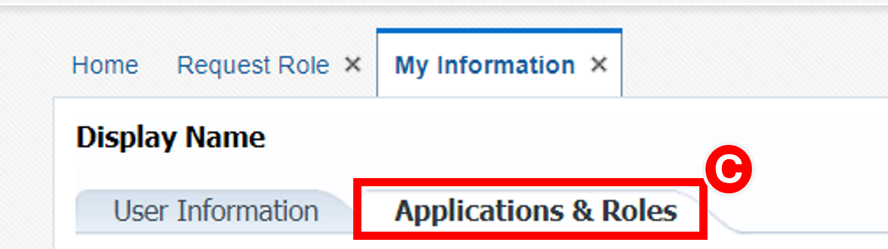 Accessing and Opening the Hazardous Material Management System ...
