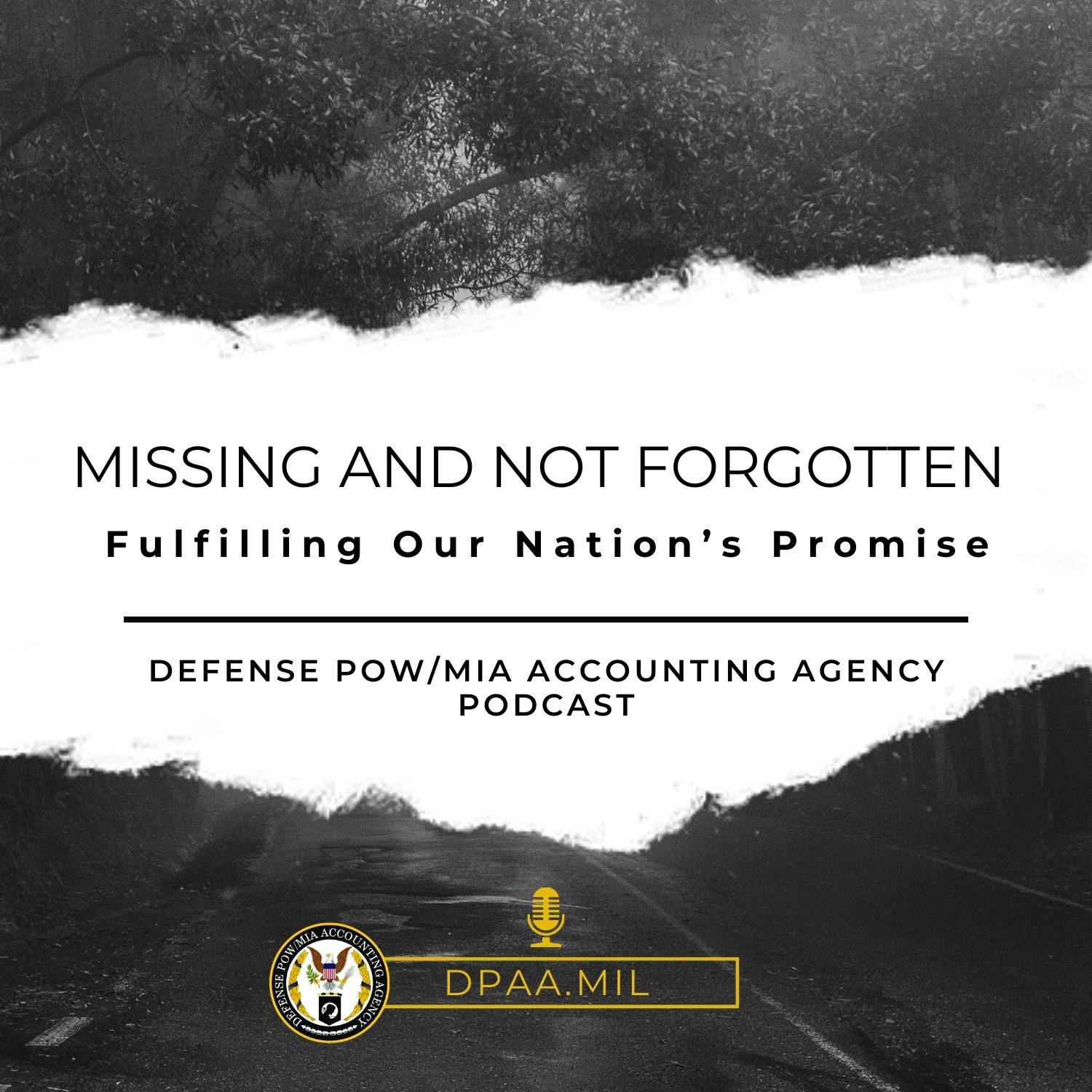A New Podcast Highlights DPAA's Efforts to Account for Missing ...