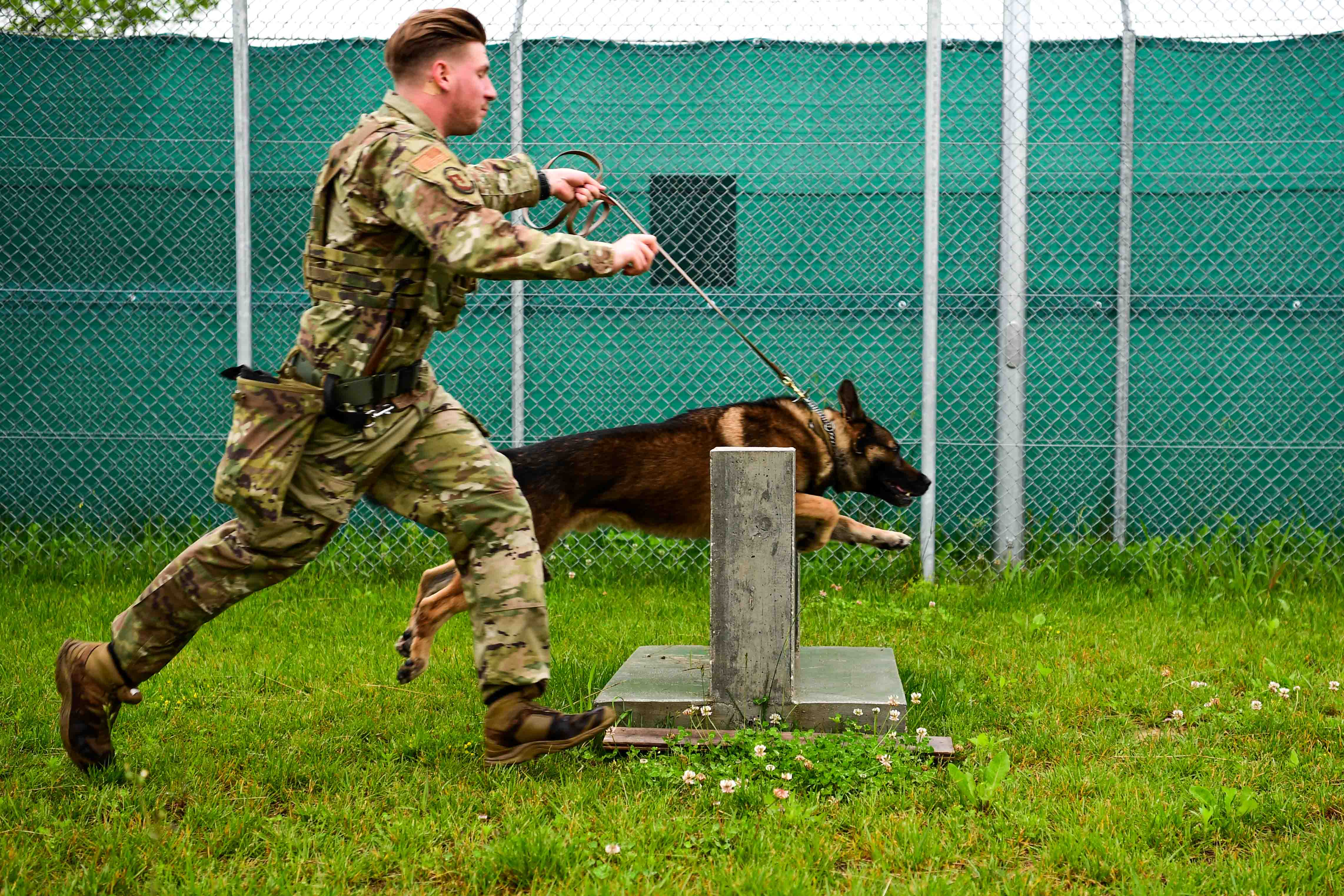 MWD Training > Aviano Air Base > Display