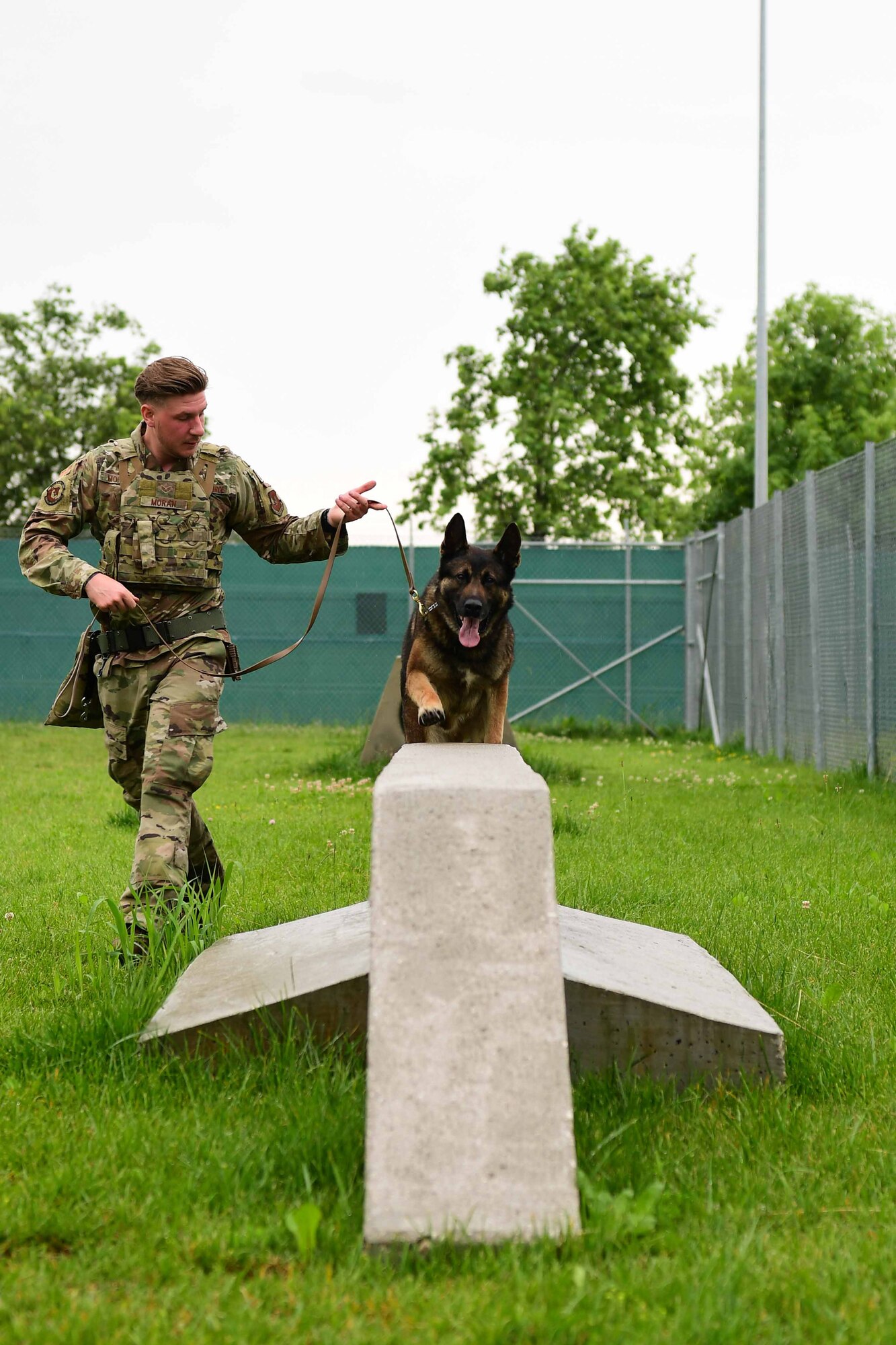 MWD Training > Aviano Air Base > Display