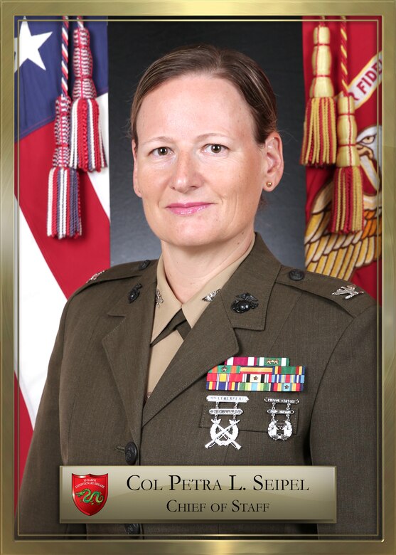 COLONEL PETRA LOVETINSKA SEIPEL > 3D Marine Expeditionary Brigade ...