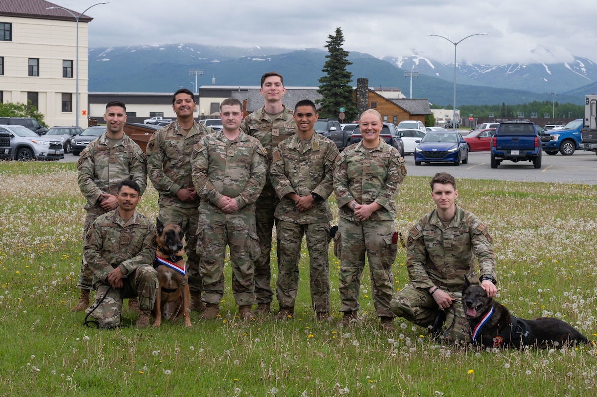 Two military working dogs retire from 673d SFS > Joint Base Elmendorf ...