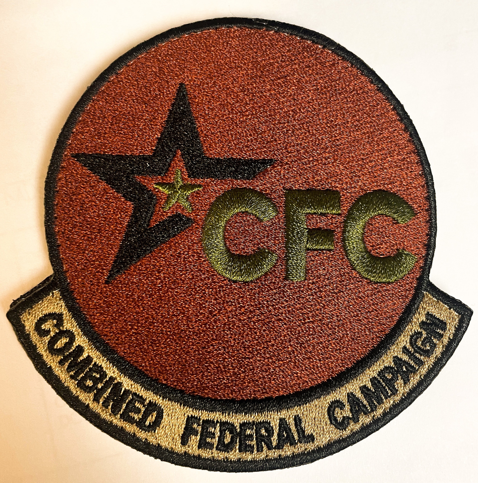 Eglin CFC team earns award for innovative campaign > Air Force Test ...