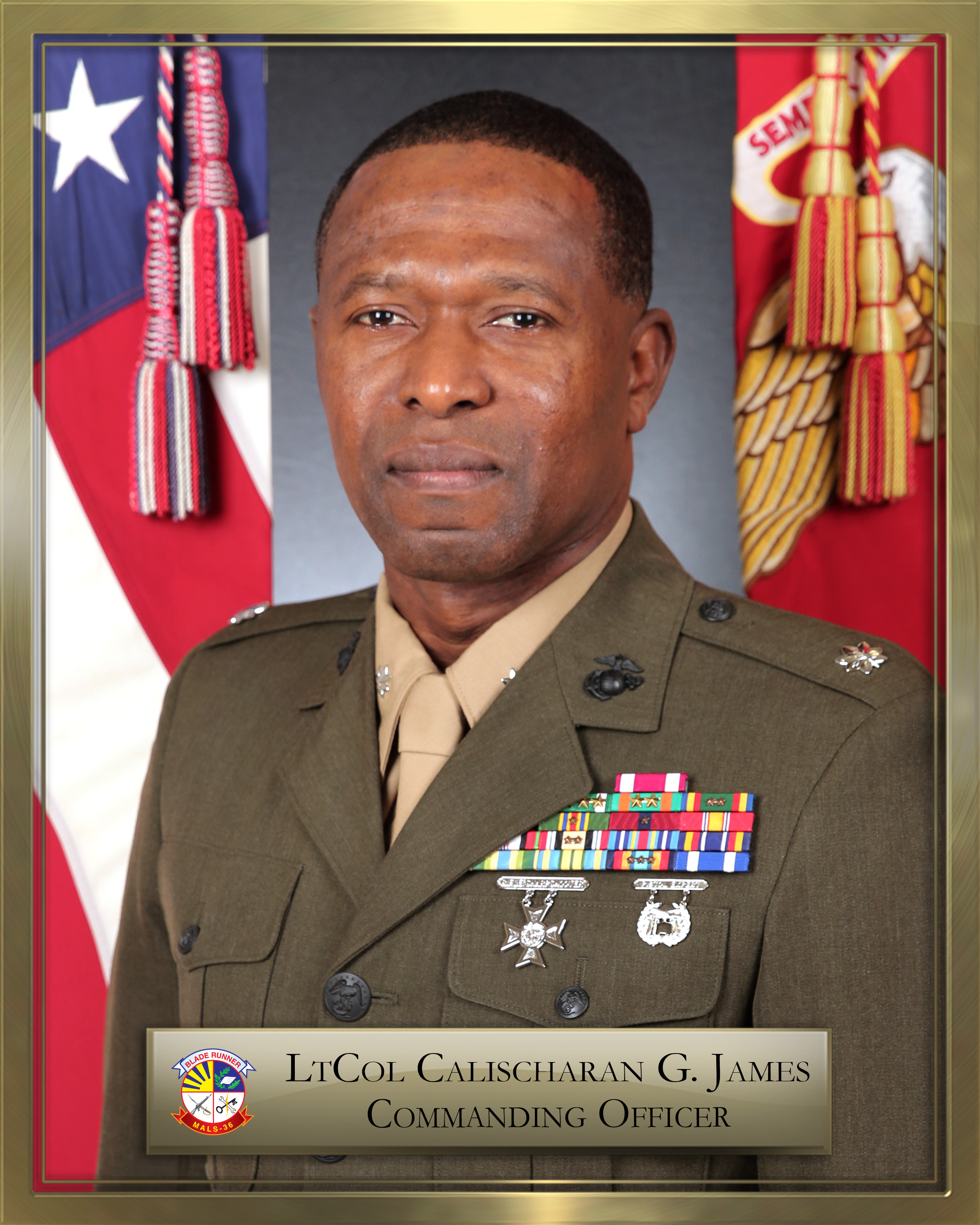 Lieutenant Colonel Calischaran James > 1st Marine Aircraft Wing > Biography