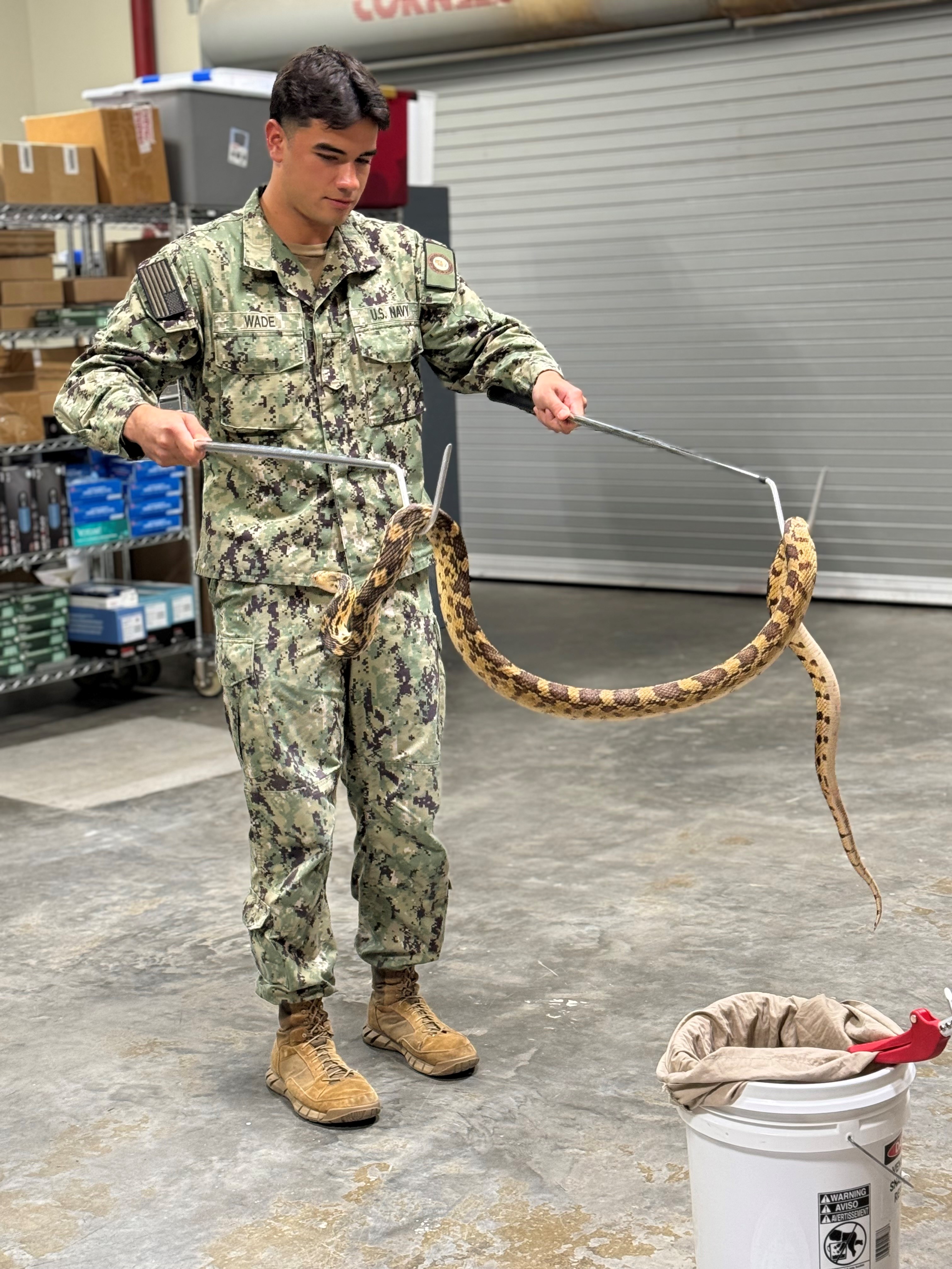 Enhancing Force Health Protection: NECE and Rattlesnake Conservancy ...