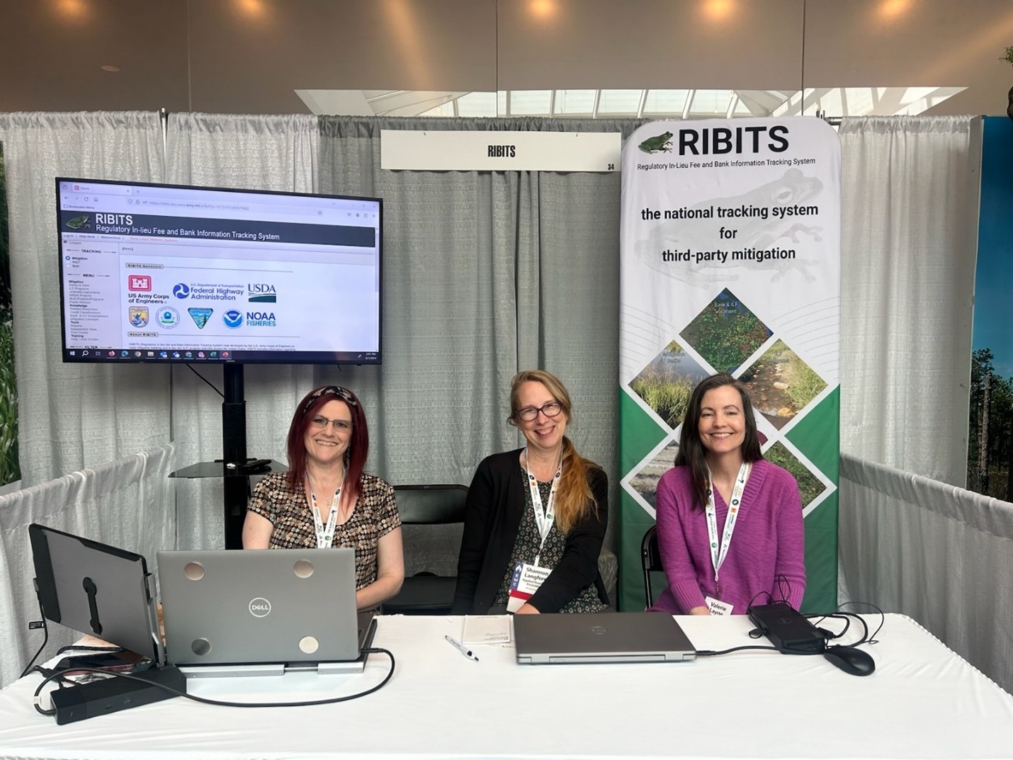 RIBITS: Enhancing Transparency and Accountability in Compensatory ...