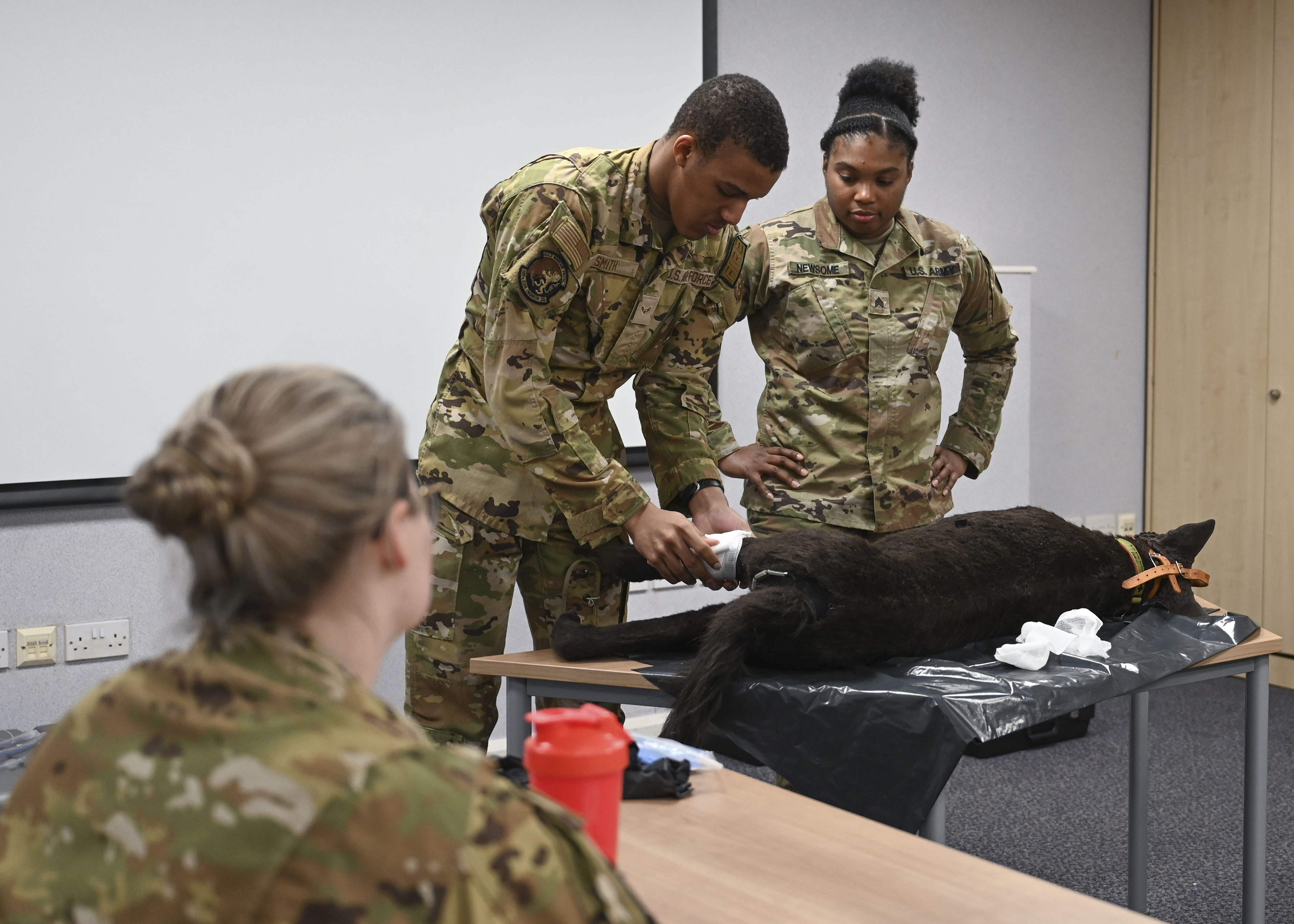 RAF Mildenhall fire department hosts K-9 TCCC training > Royal Air ...