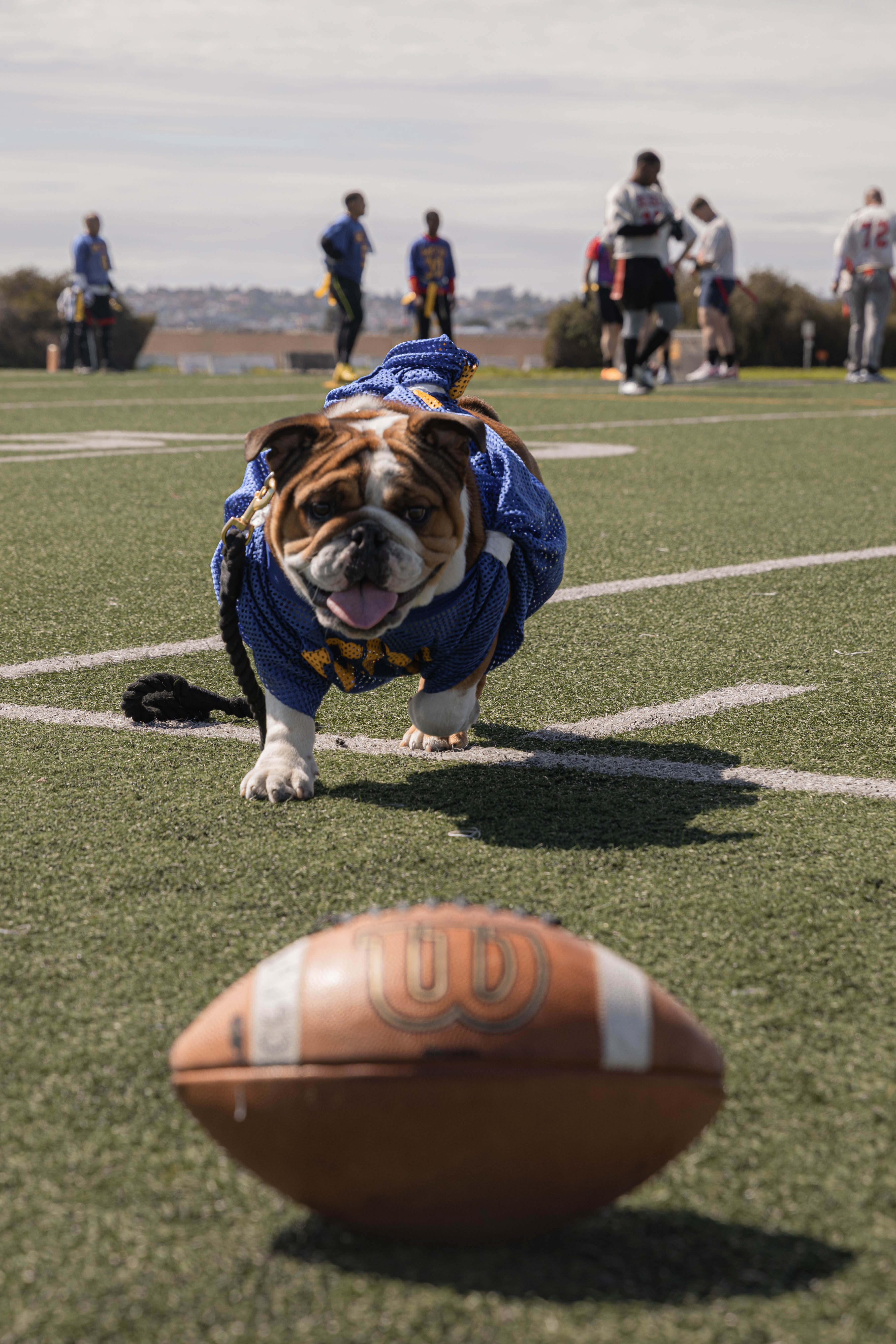 Mascot Monday