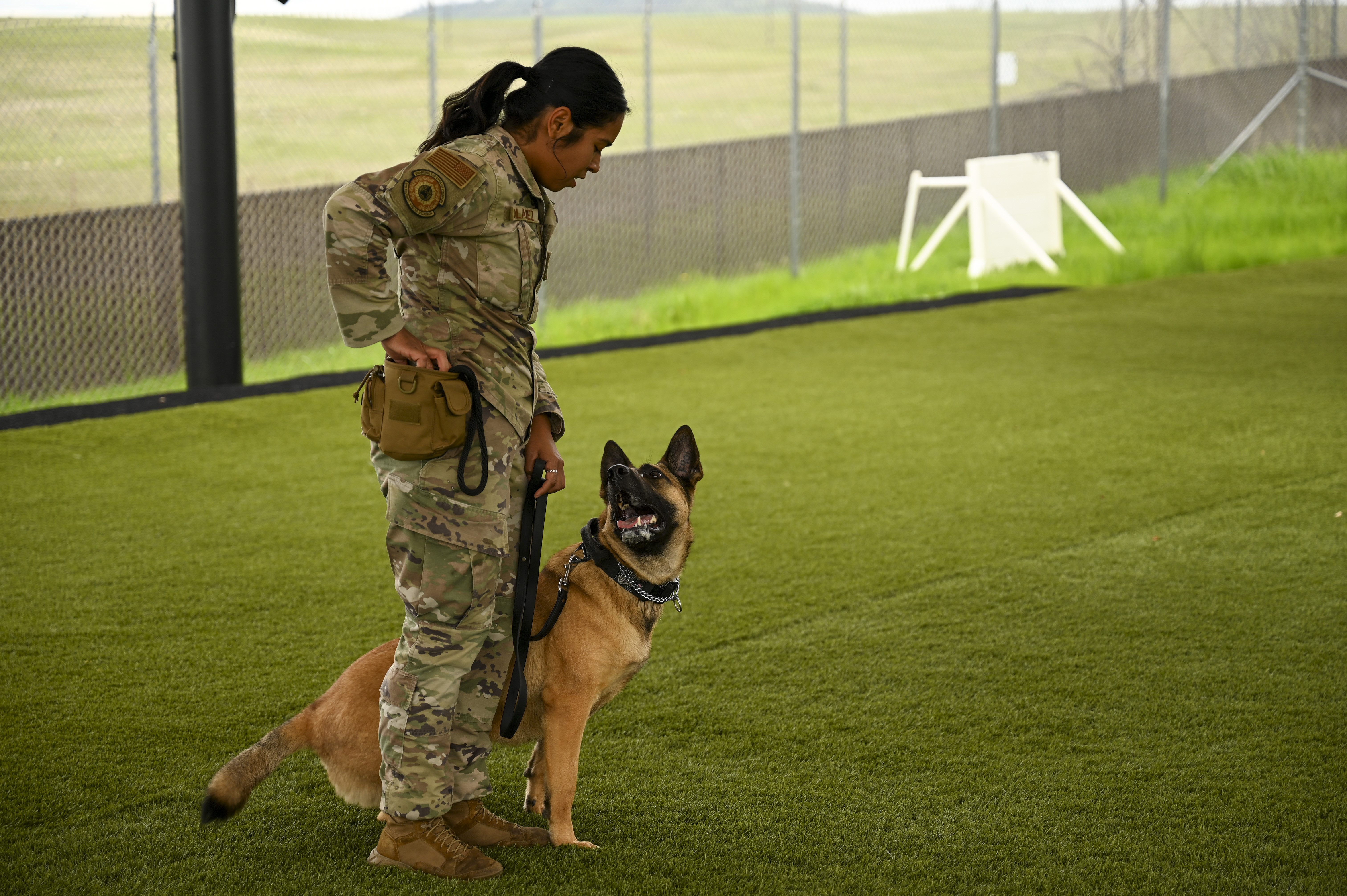 New Paws on the Ground > Beale Air Force Base > Article Display