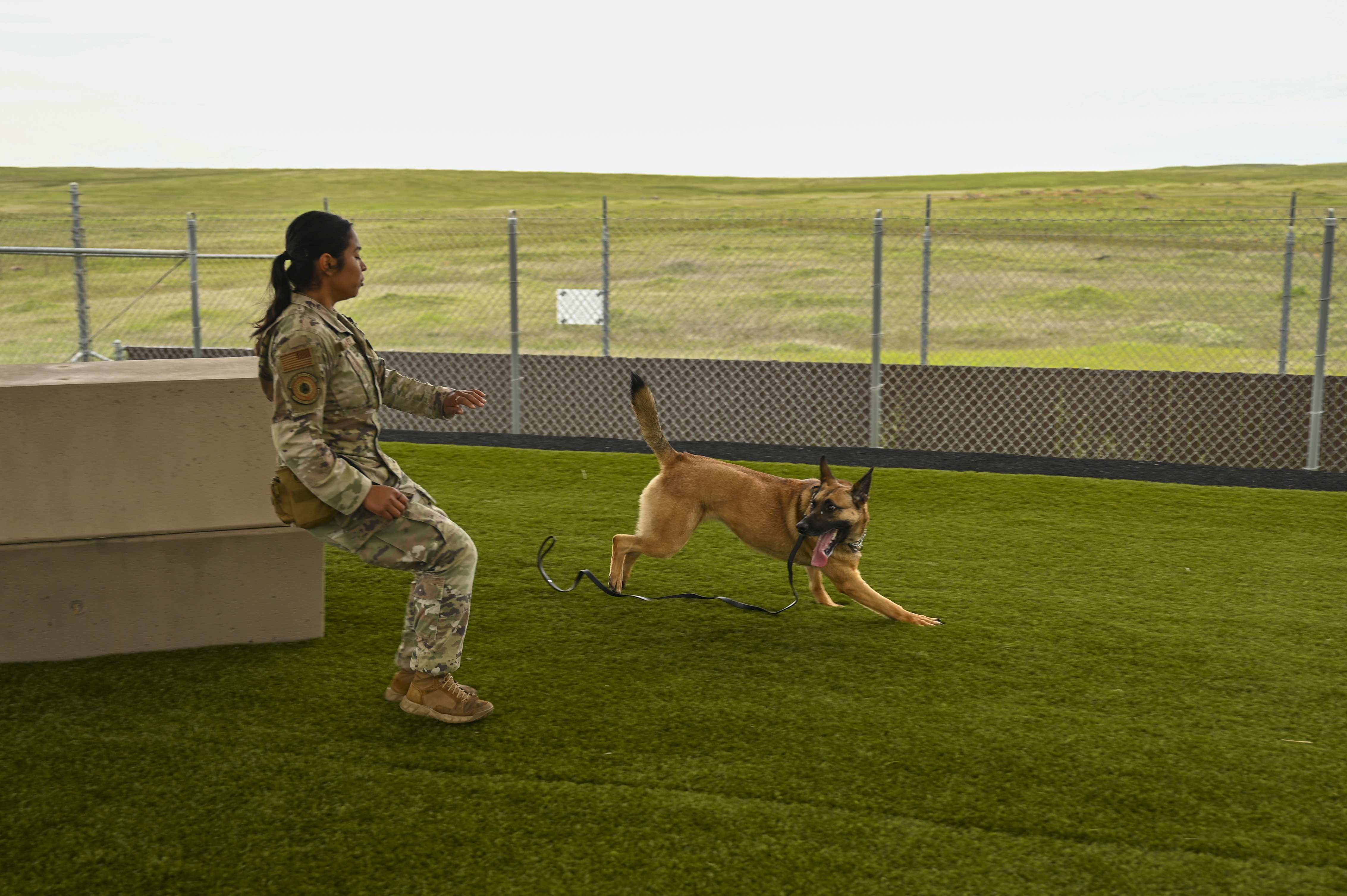 New Paws on the Ground > Beale Air Force Base > Article Display