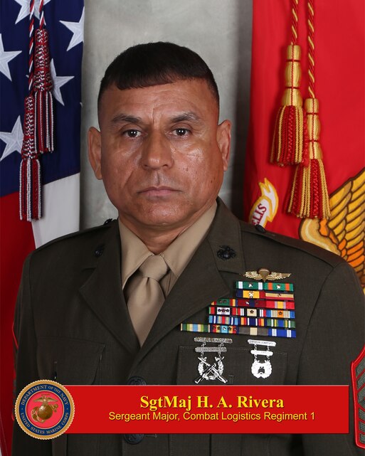 Sergeant Major Hector A. Rivera > 1st Marine Logistics Group > Biography