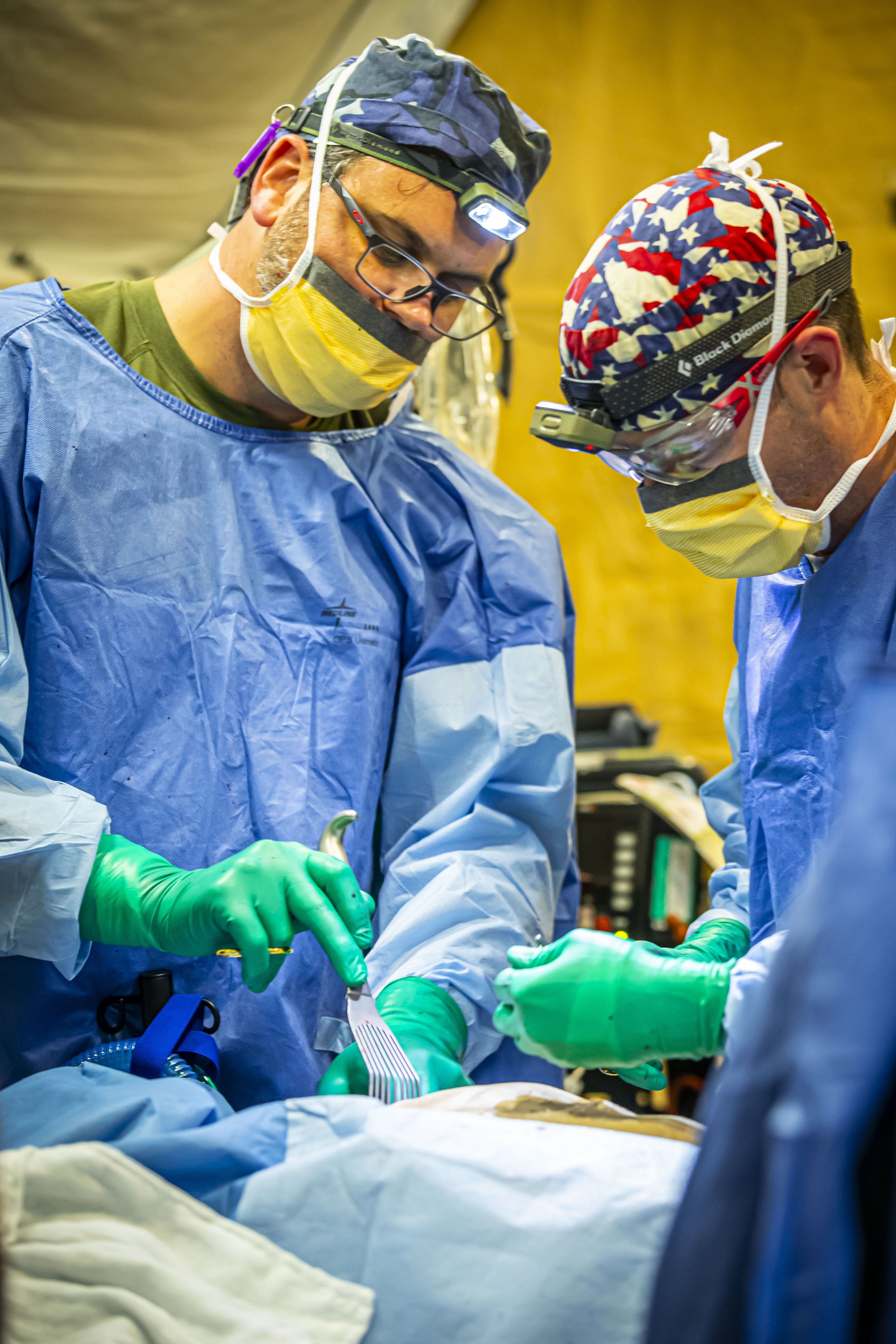 Exercise Viper Walk showcases bilateral medical interchangeability ...