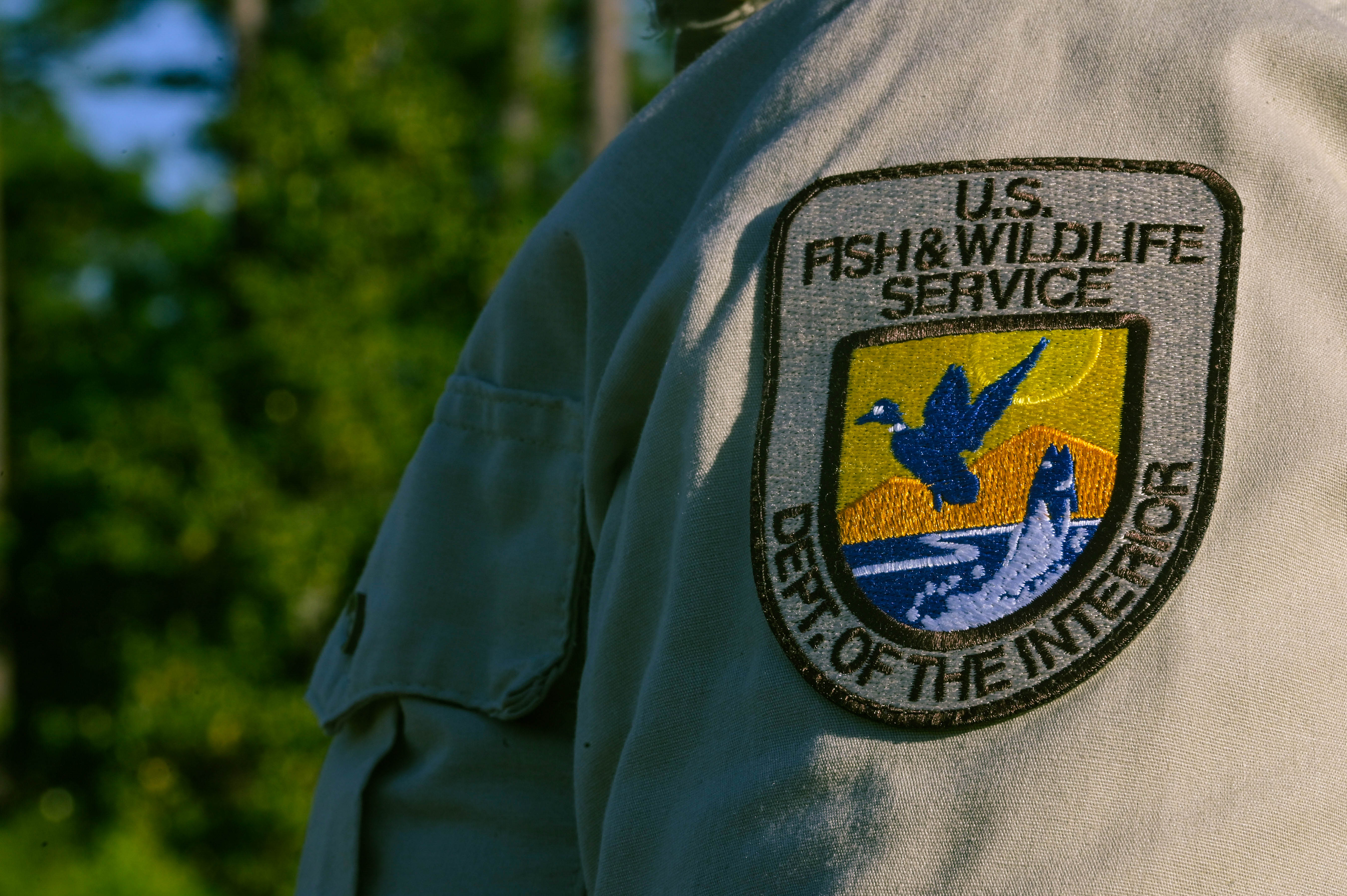 Bird watching with the 1 SOW > Hurlburt Field > Article Display