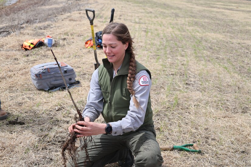 USACE celebrates Earth Day with tree planting at restoration project ...