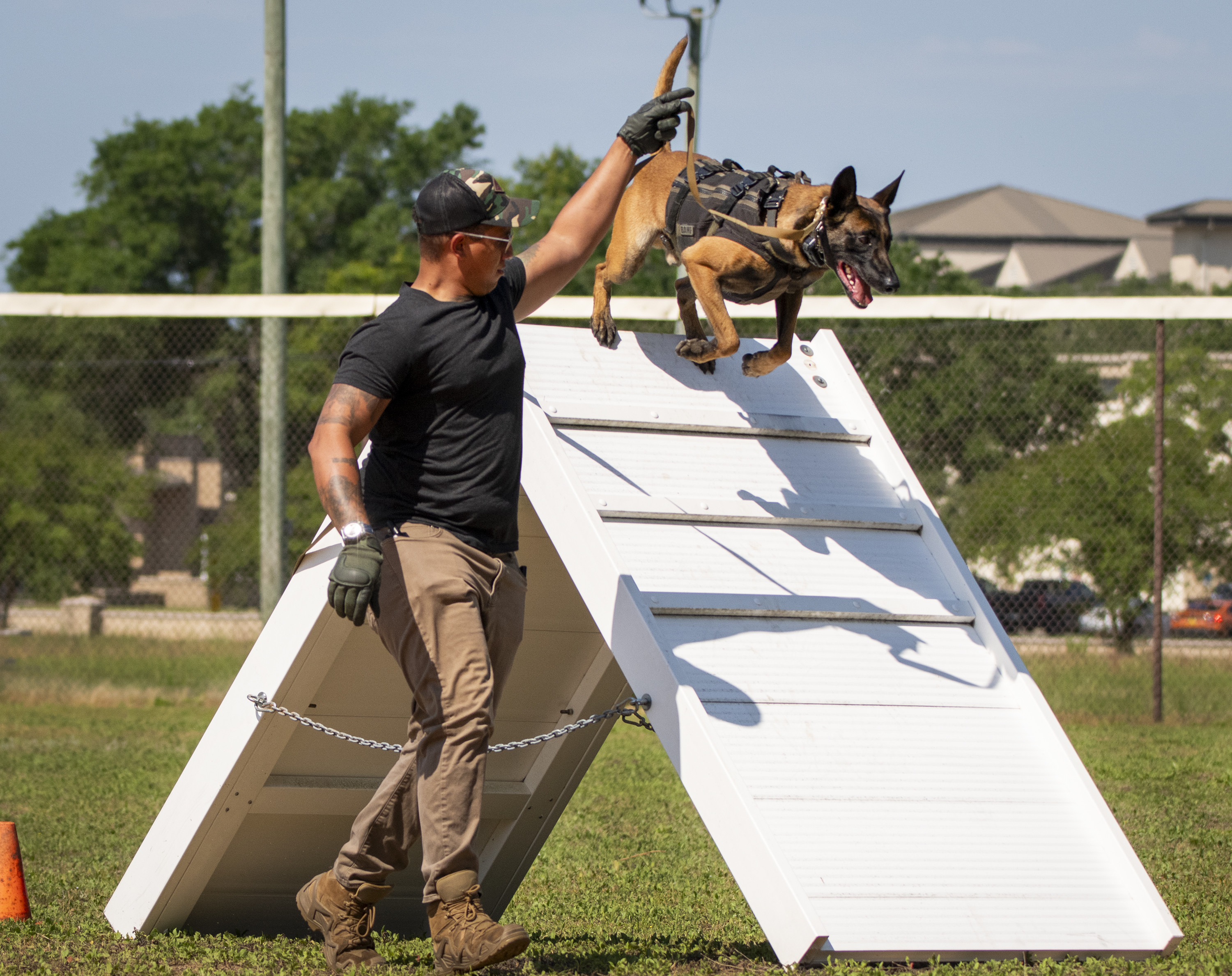 K-9s compete at Eglin's working dog challenge (photos) > Air Force Life ...