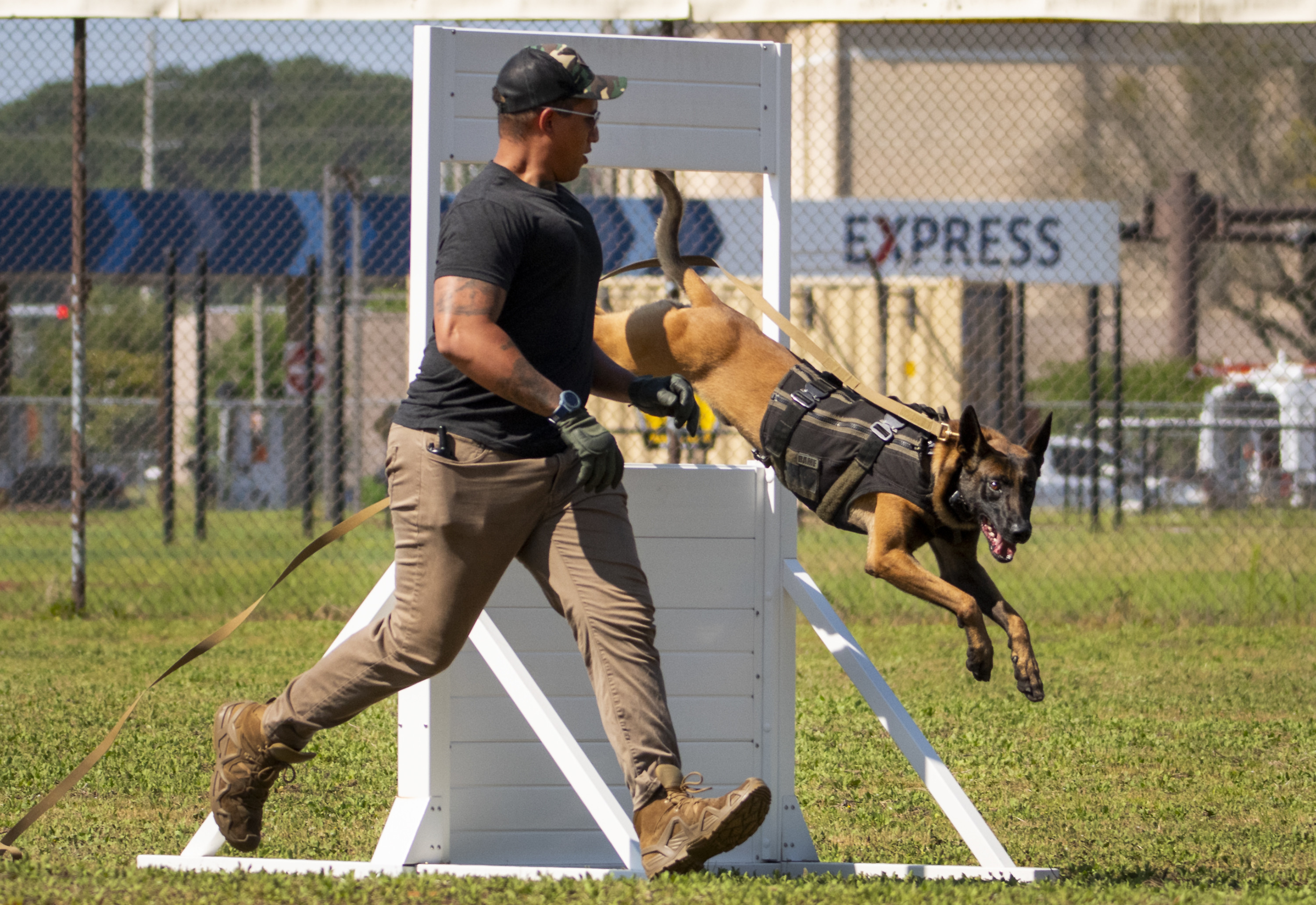 K-9s compete at Eglin's working dog challenge (photos) > Air Force Life ...