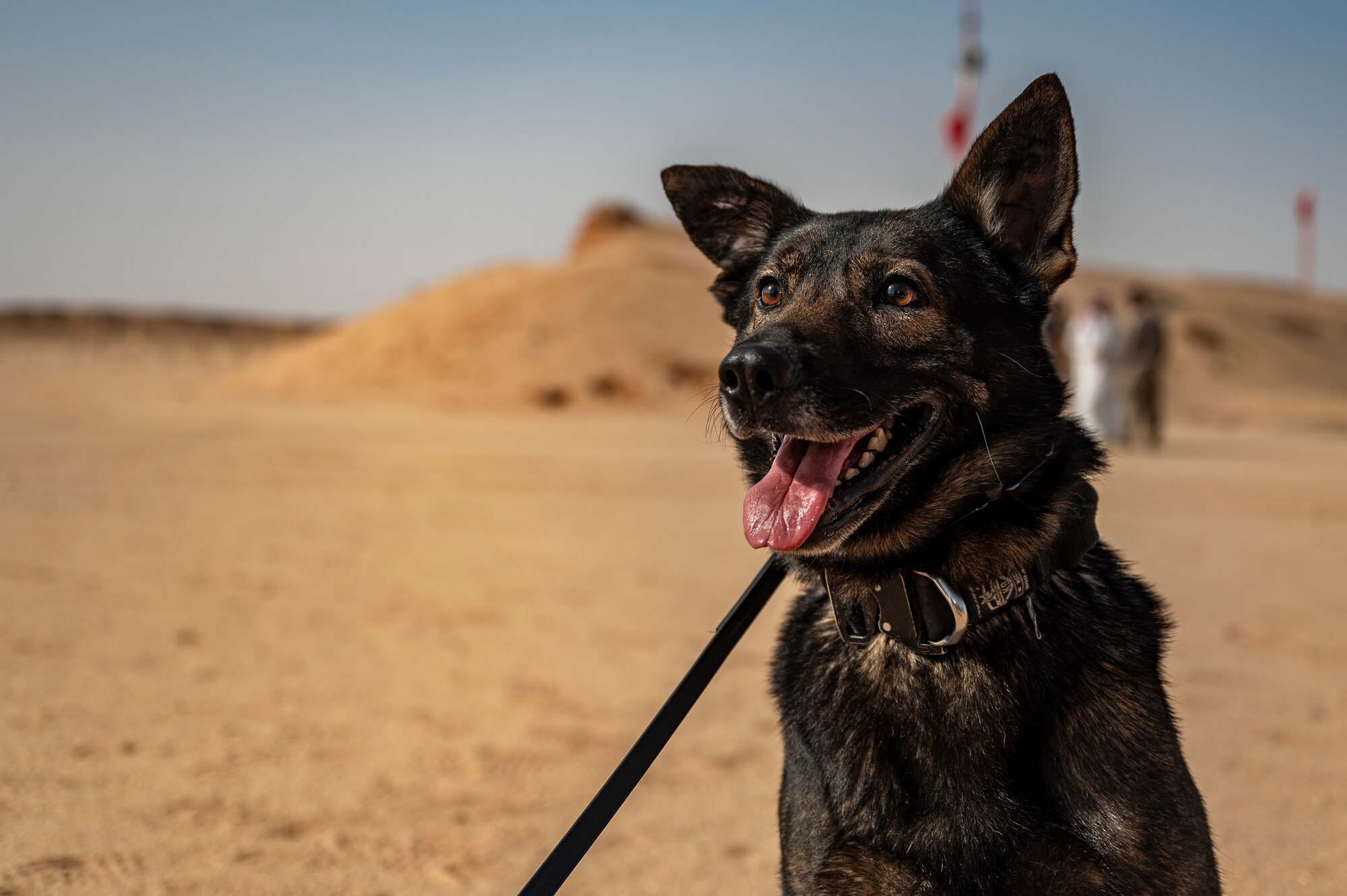 Bilateral training bolsters joint and partner interoperability during ...