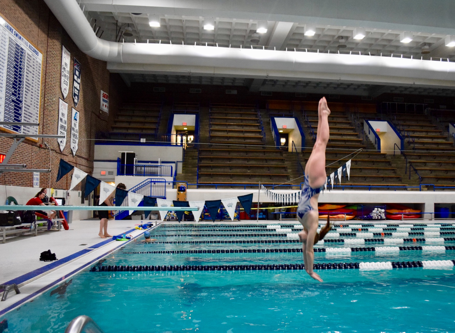 Allison Stefanelli is diving into the environmental waters retur