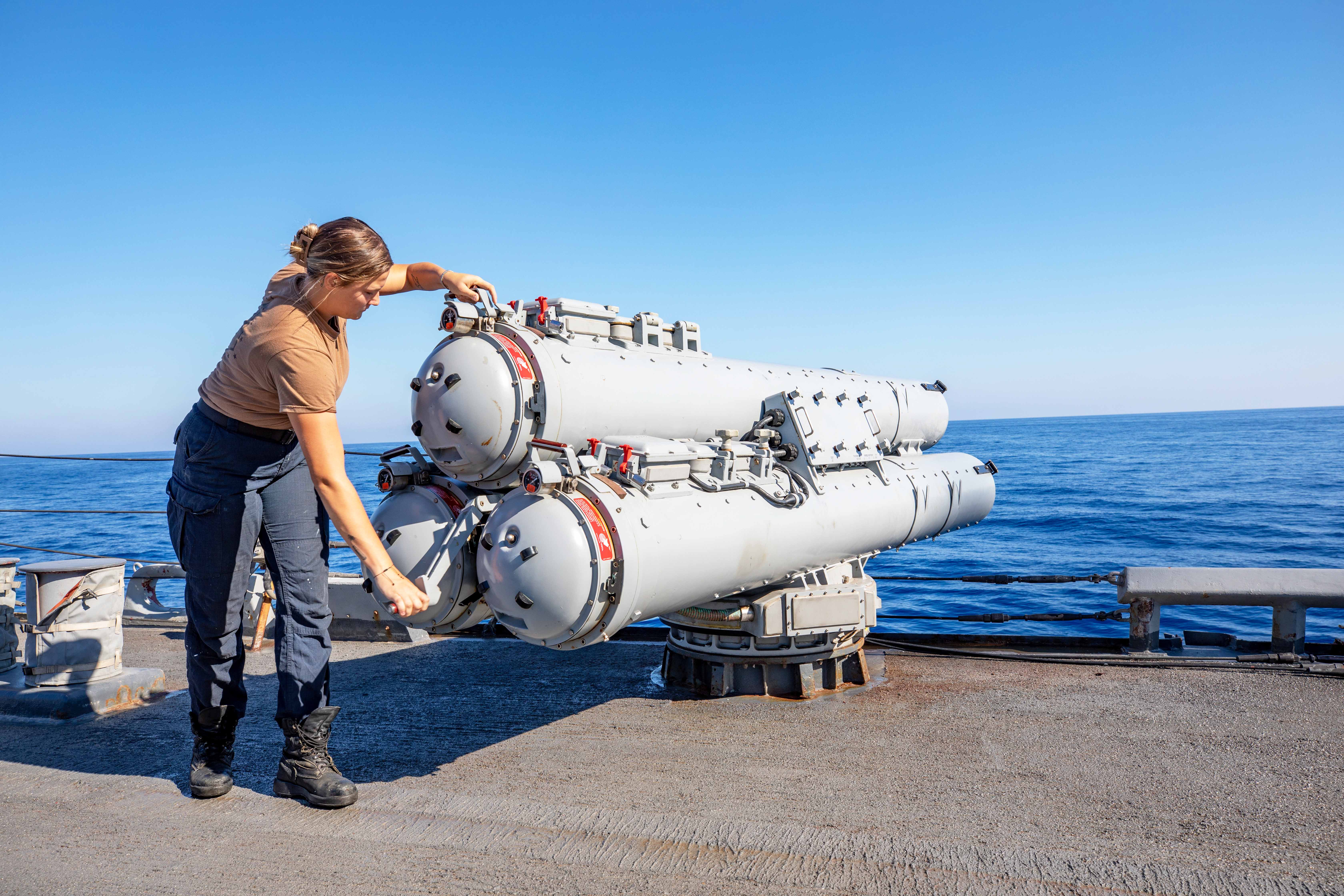 Mediterranean Maintenance