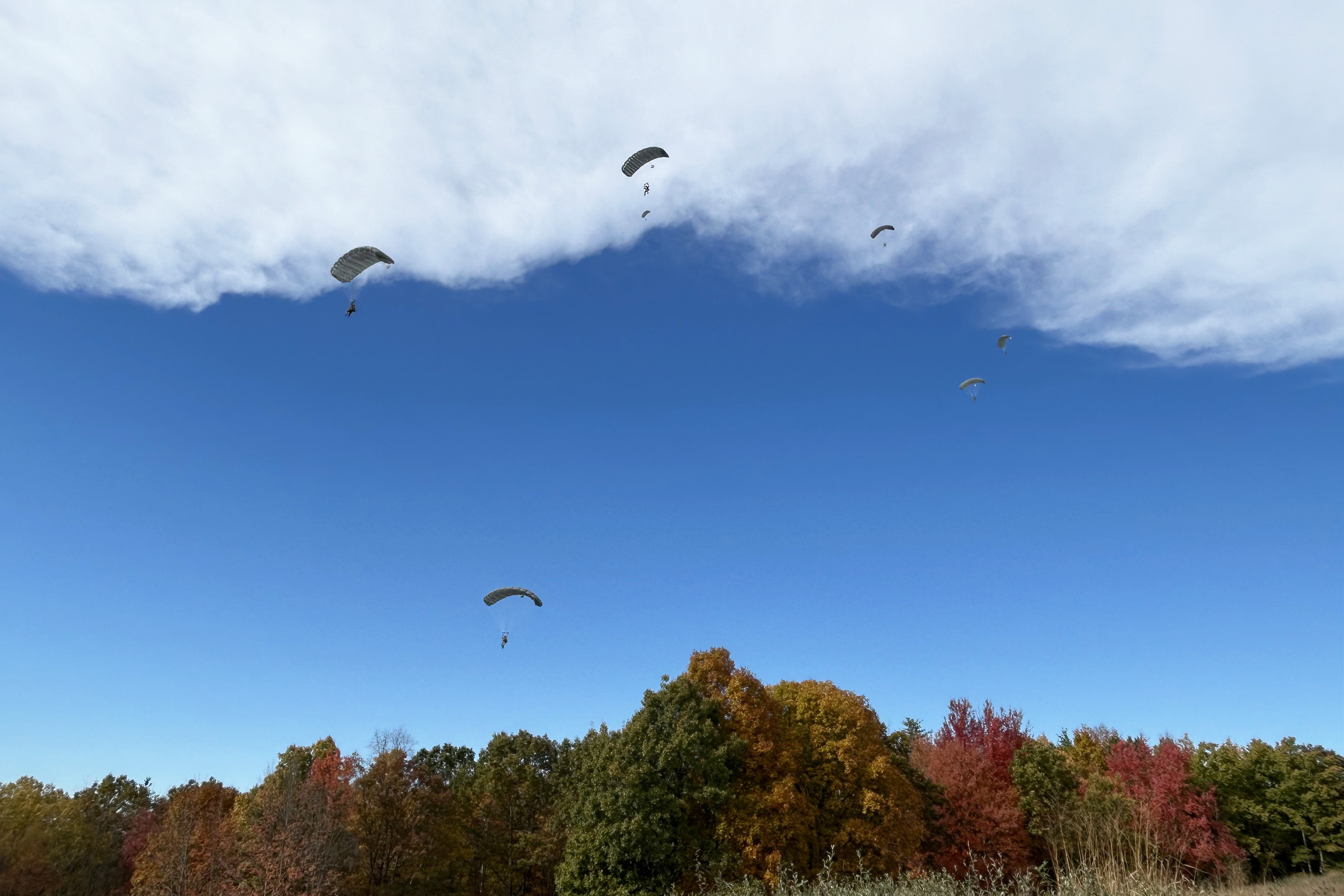 Falling Foliage | U.S. Department of War