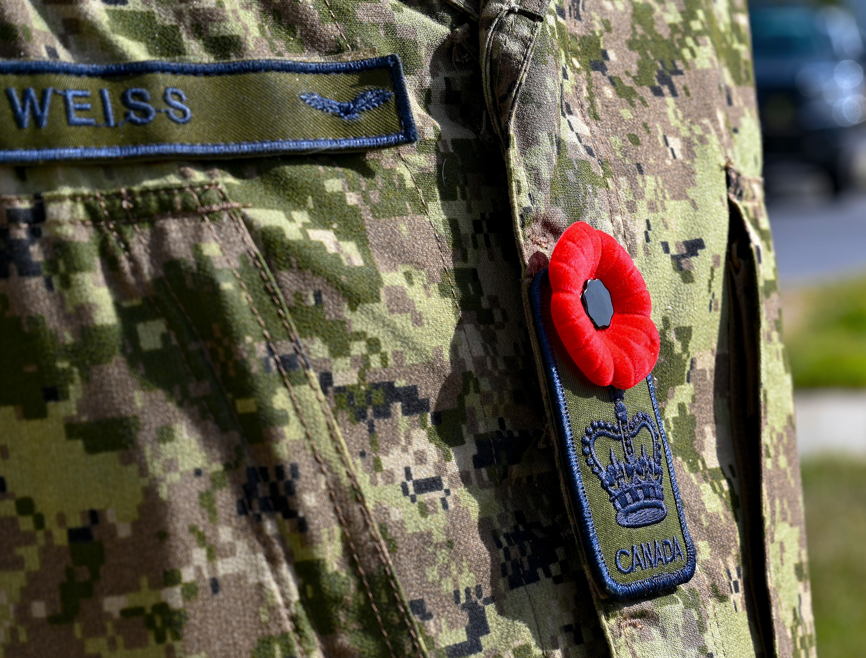 Canada raises flag joining international reprogramming lab team > Eglin ...