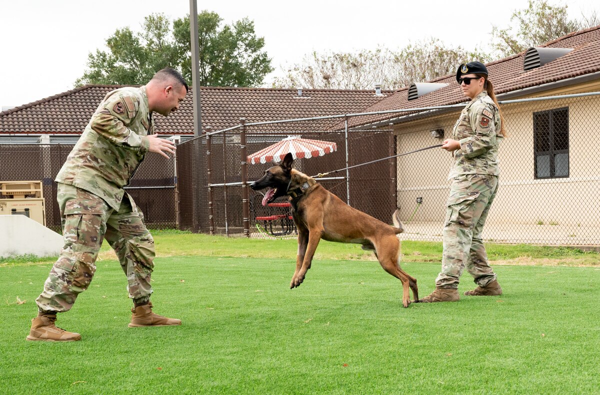 42nd SFS conducts training with MWDs > Air University (AU) > Air ...