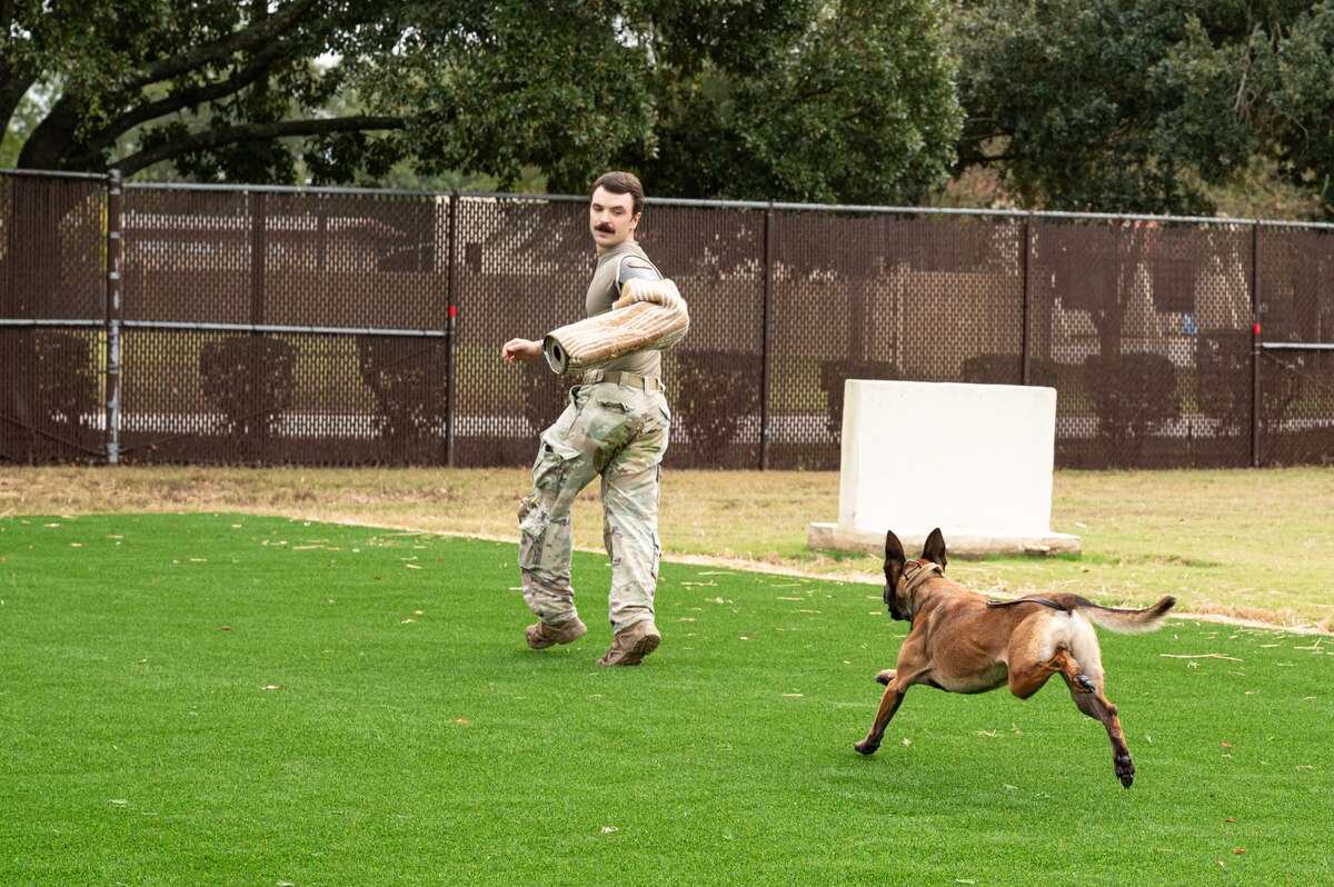 42nd SFS conducts training with MWDs > Air University (AU) > Air ...