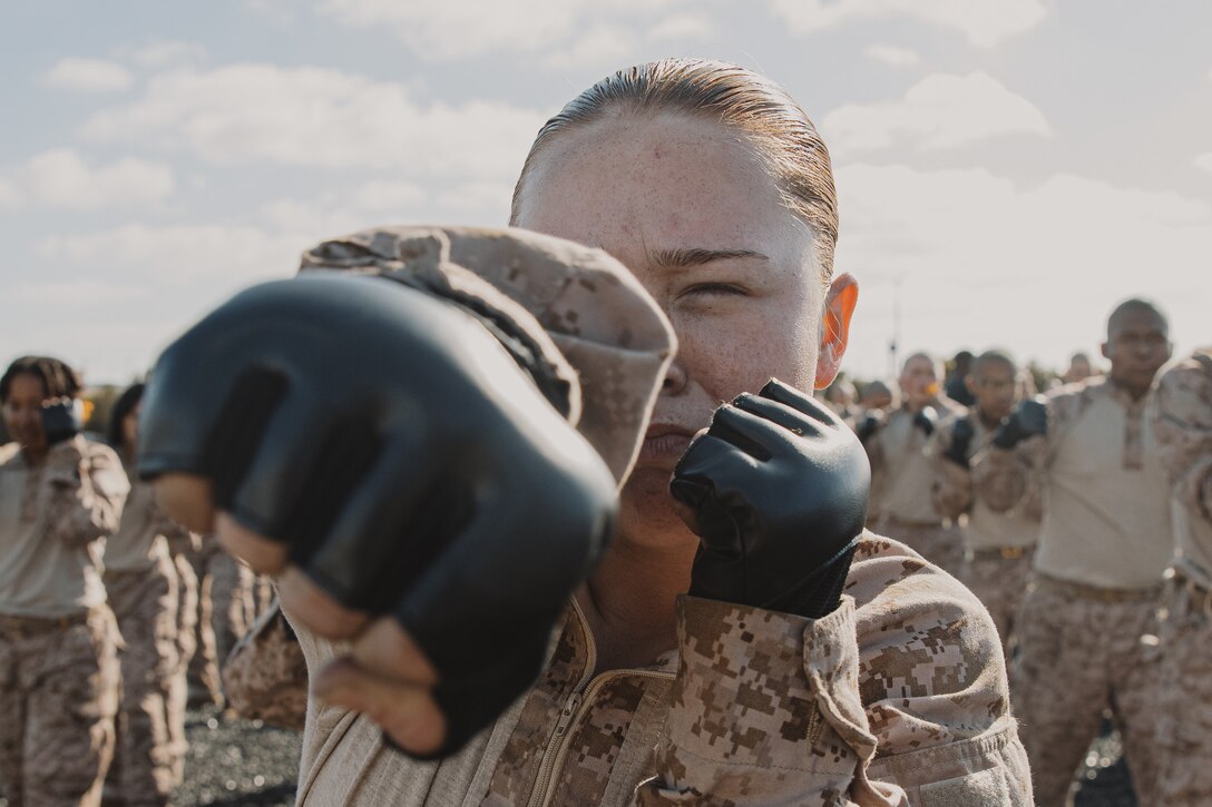 Lima Company Fundamentals of MCMAP