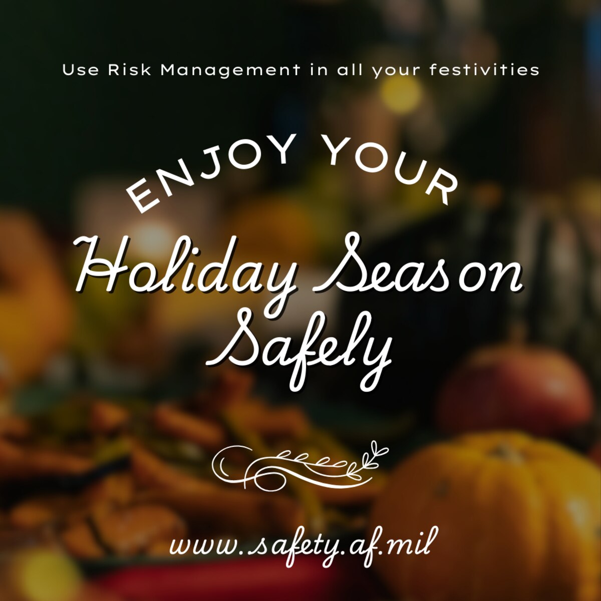 Incorporate risk management into your holiday festivities > Air Force ...