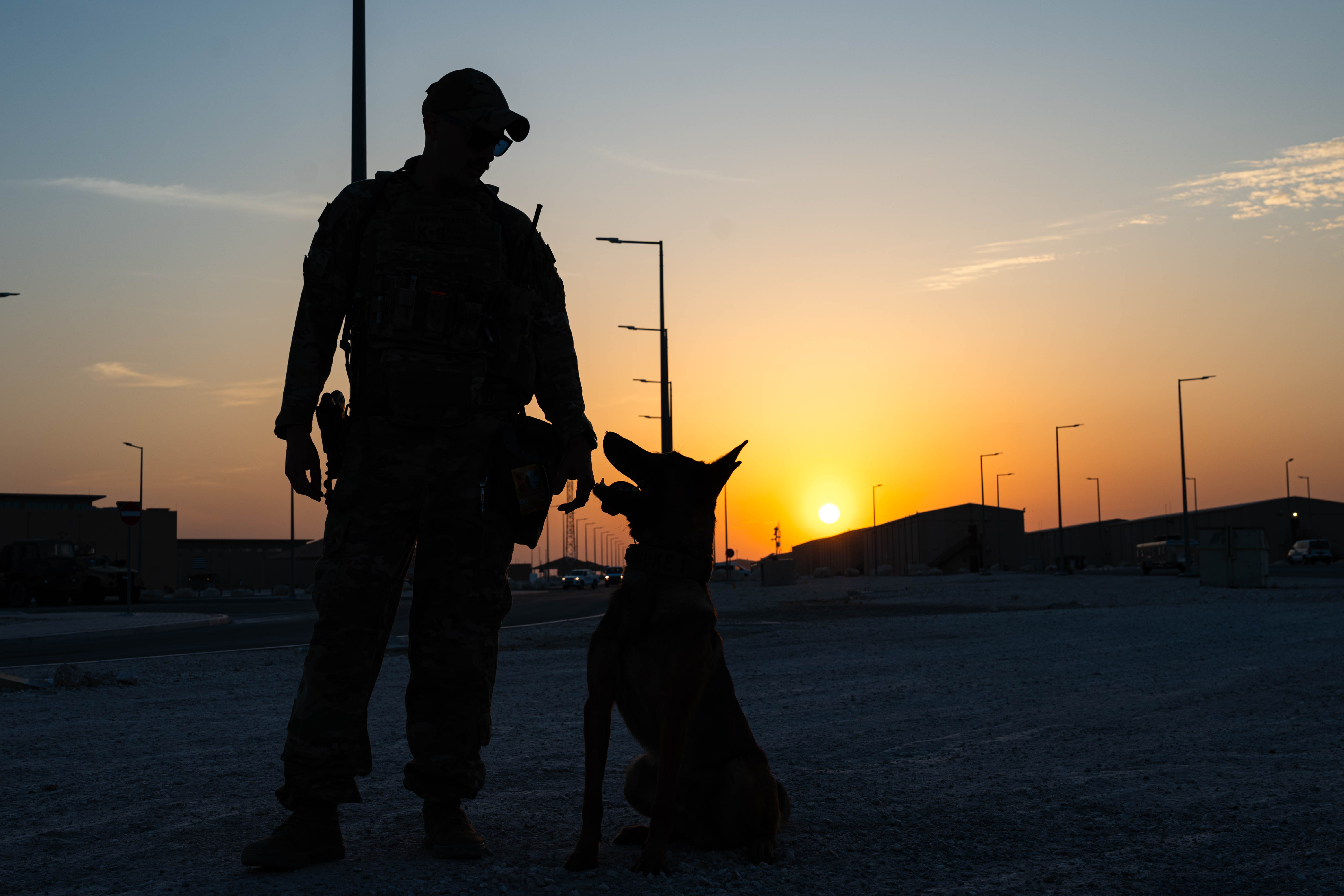 Military working dogs train to detect and patrol > U.S. Air Forces ...