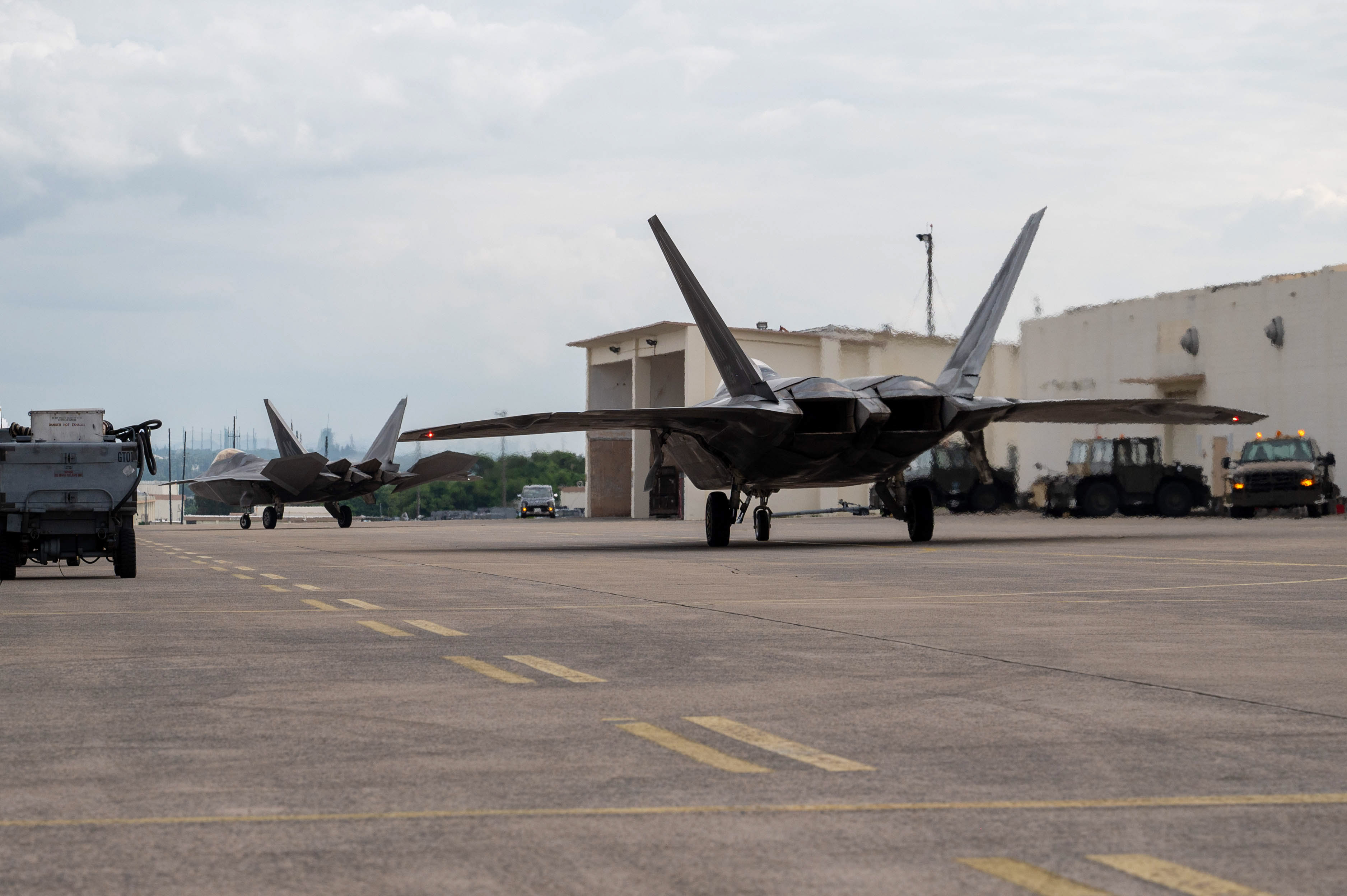 Raptors and falcons nest at Kadena